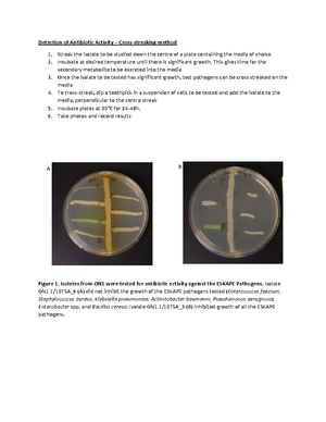 BTH2830 Fundamentals of Microbiology Lab Manual - Semester 1, 2025 ...