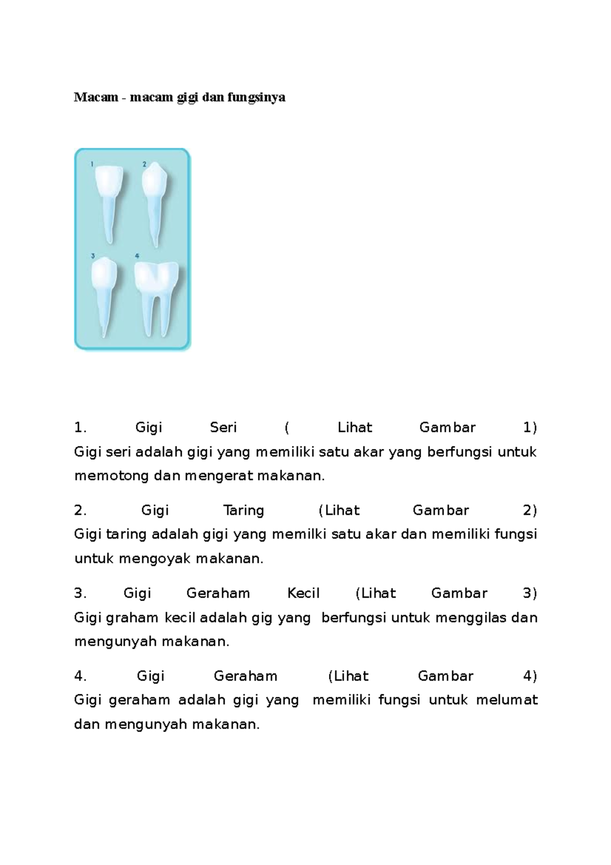 Berbagai macam gigi dan fungsinya - Macam - macam gigi dan fungsinya 1 ...