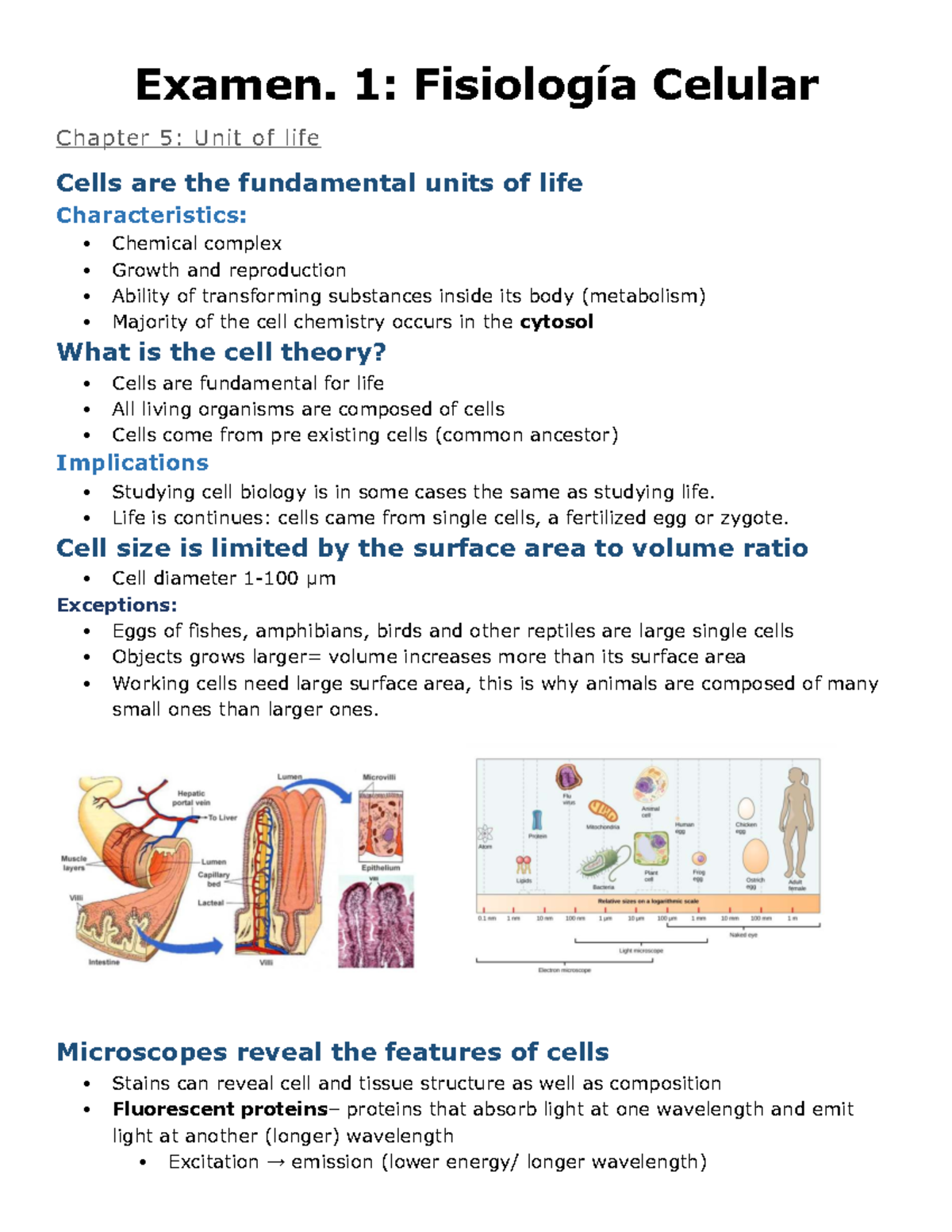 Physio. Notes: Cellular Physiology Chapter 5 Overview for Exam 2 - Studocu