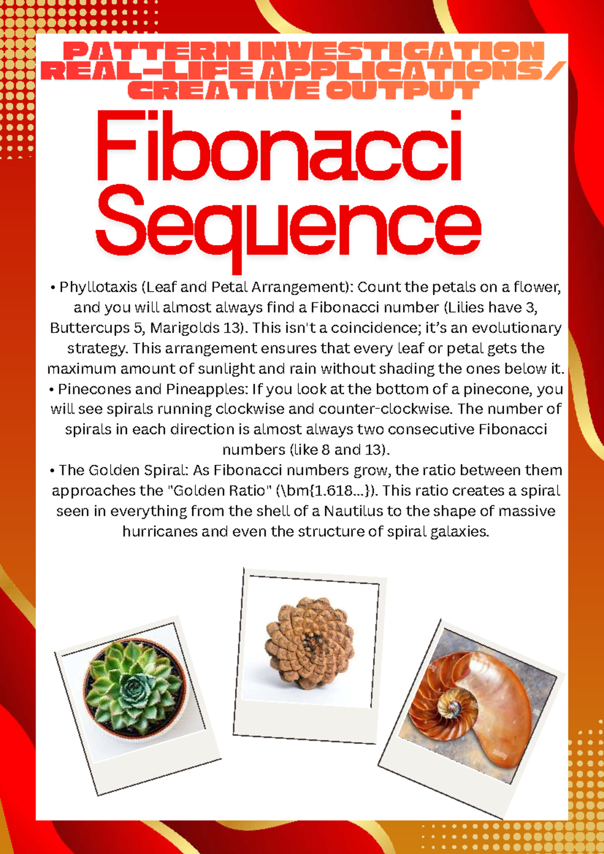PATTERN INVESTIGATION: Fibonacci Sequence in Nature - Studocu