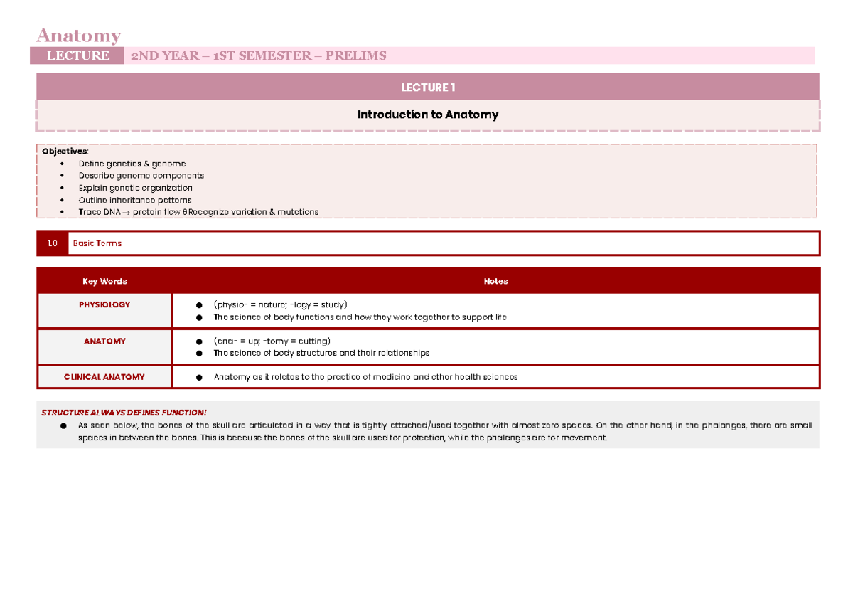 Anatomy LECTURE NOTES 2ND YEAR 1ST SEMESTER PRELIMS Overview - Studocu
