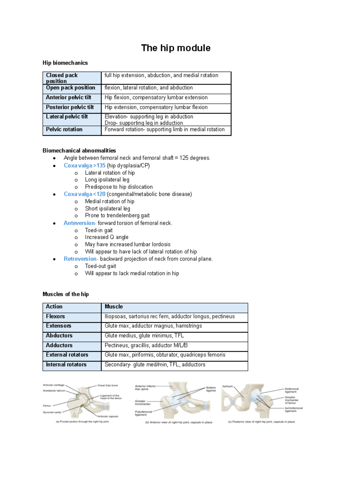 Hip Module 2 - MSK Physiotherapy Notes: Biomechanics & Conditions - Studocu