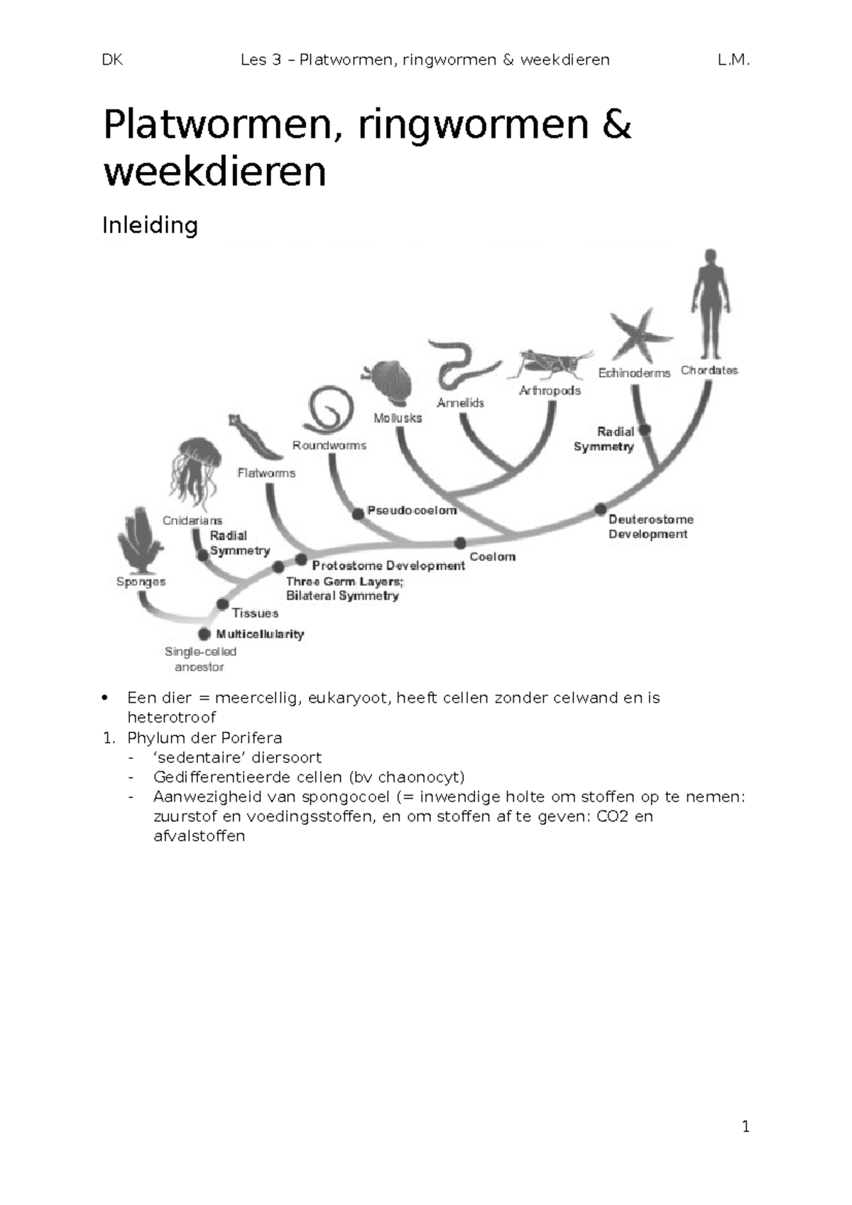 DK Les 3: Platwormen, Ringwormen en Weekdieren - Inleiding en Kenmerken ...