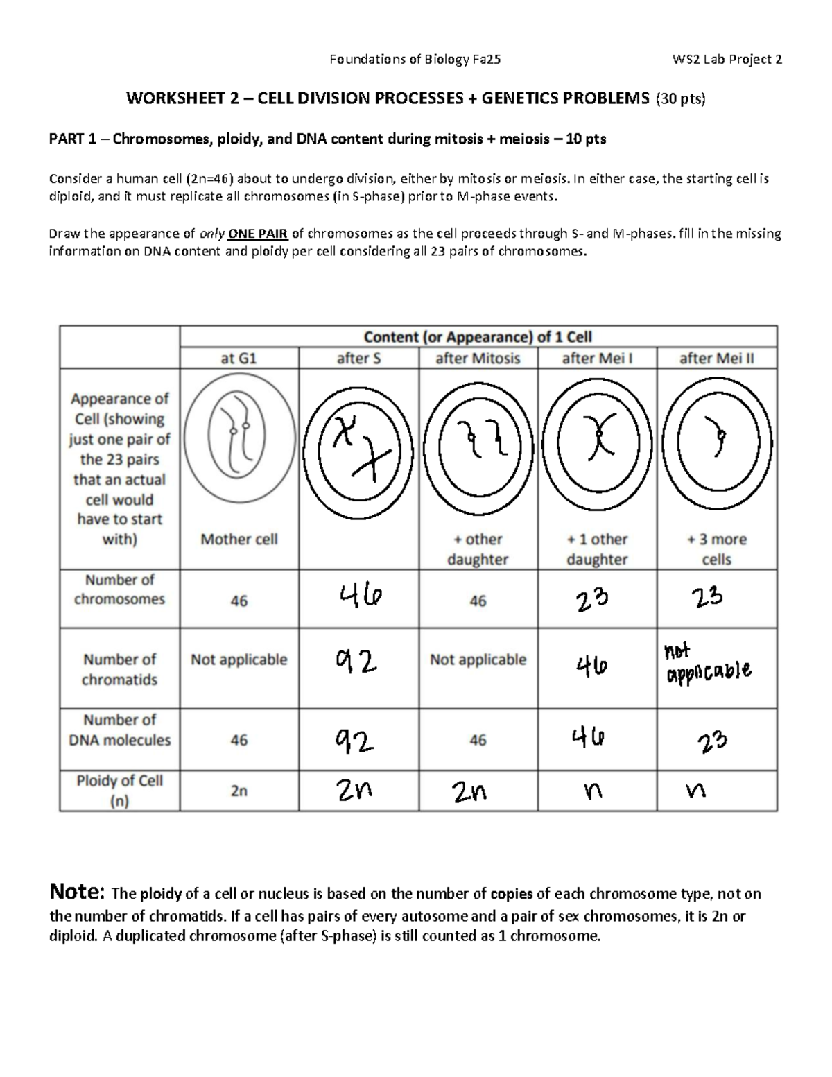 Foundations of Biology Fa25 WS2 Lab Project 2: Cell Division & Genetics ...