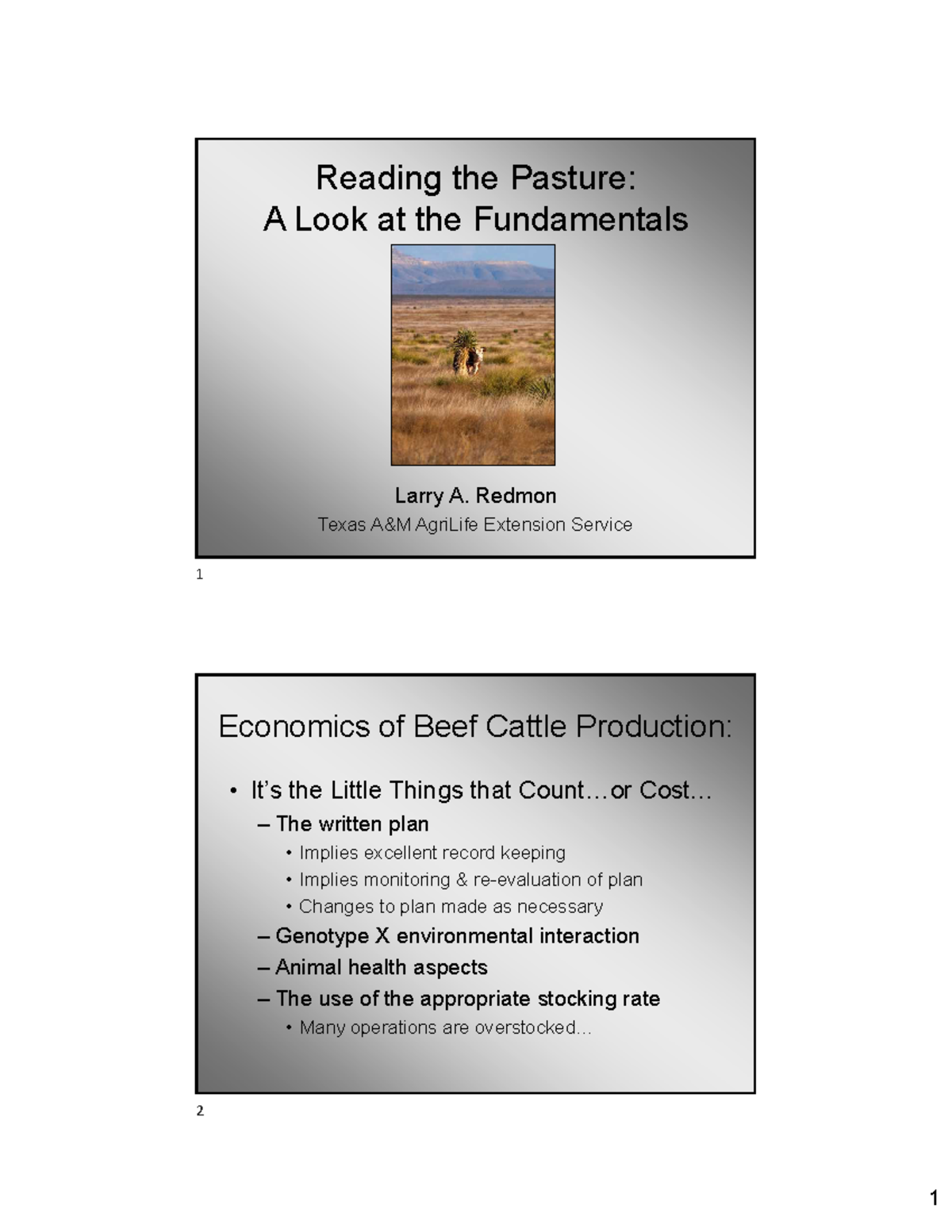 Economics of Beef Cattle Production: Strategies for Stocking Rate ...