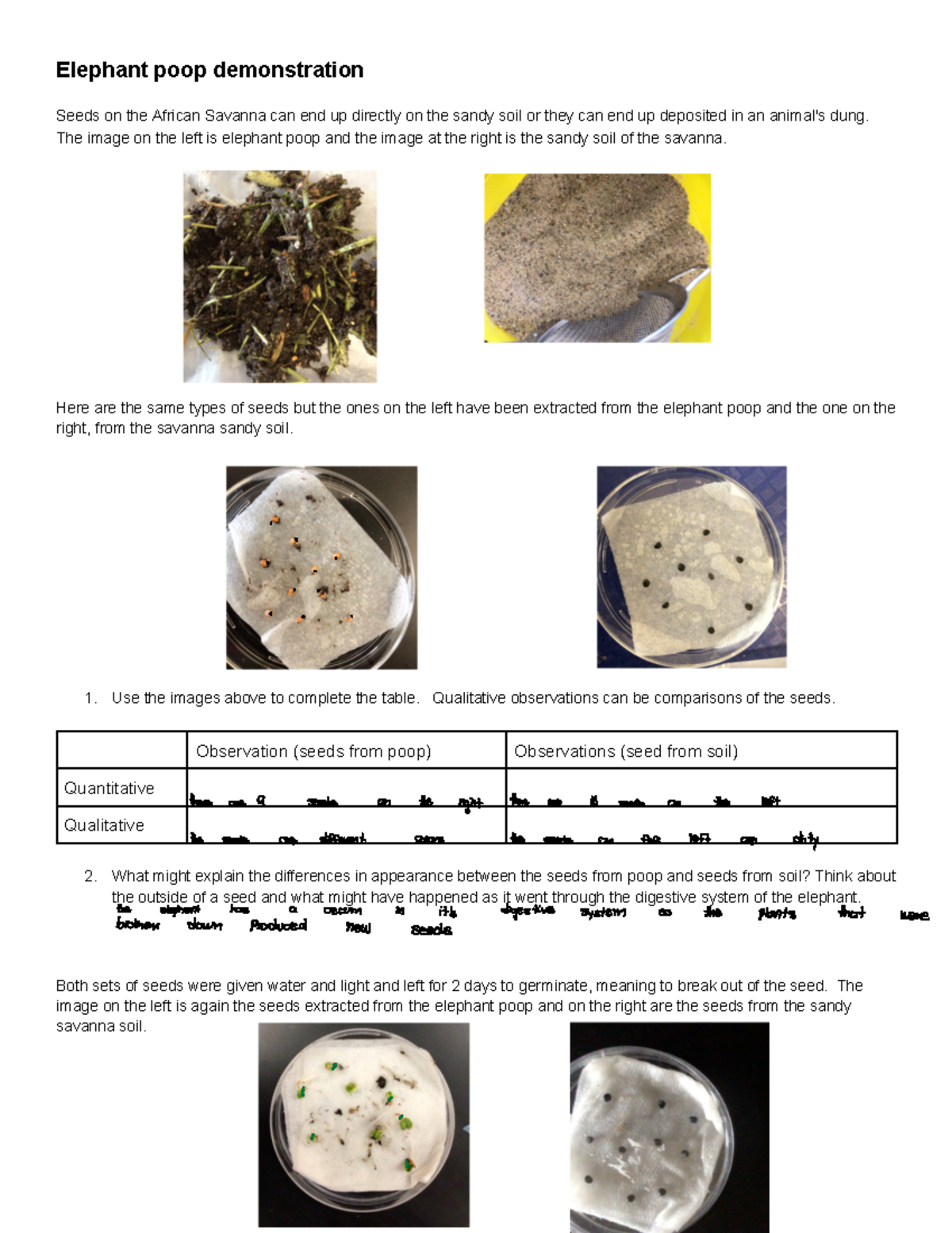 Elephant Poop & Seed Germination: A Comparative Study - Studocu
