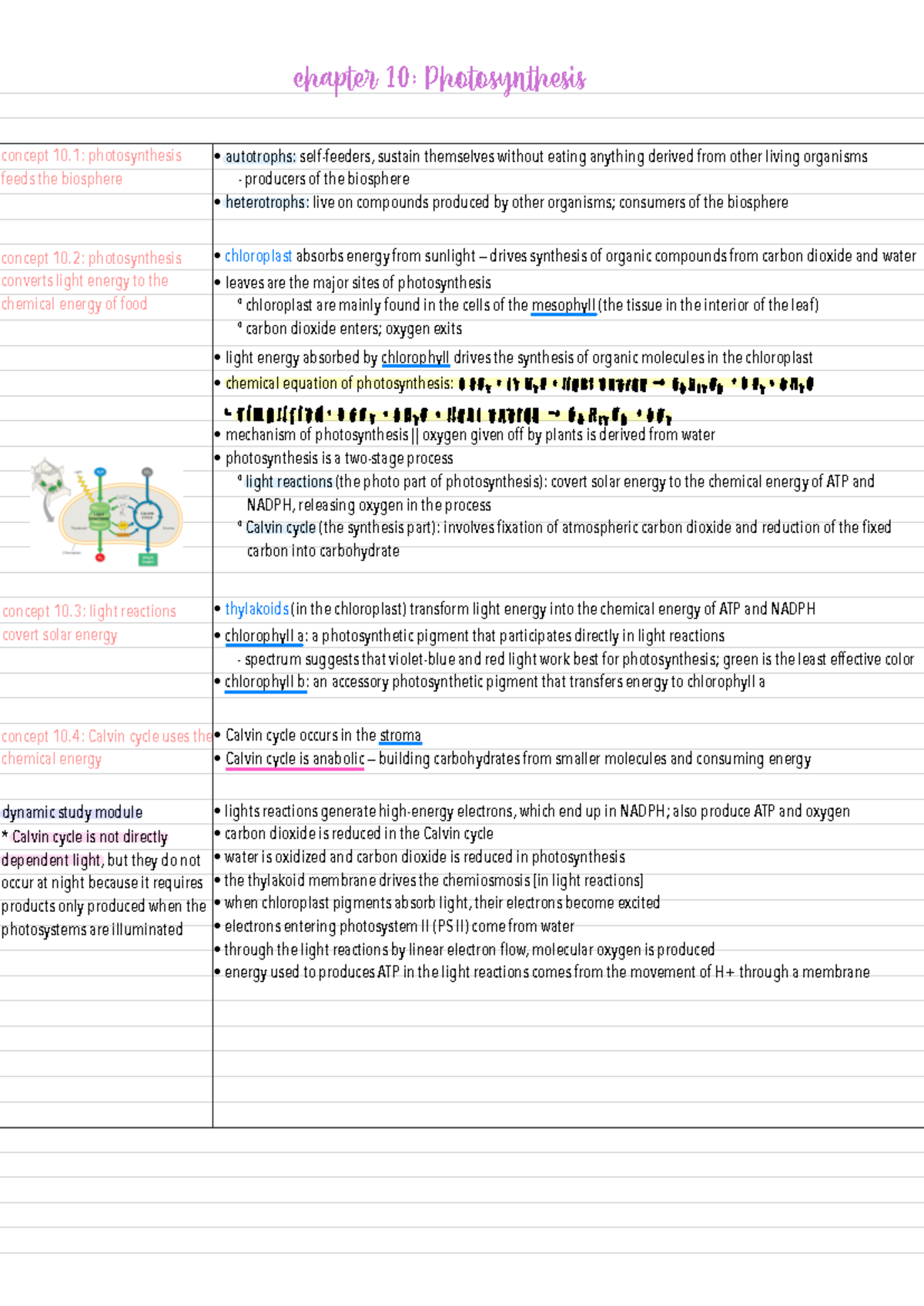 Chapter 10: Photosynthesis - chapter 10: Photosynthesis autotrophs ...