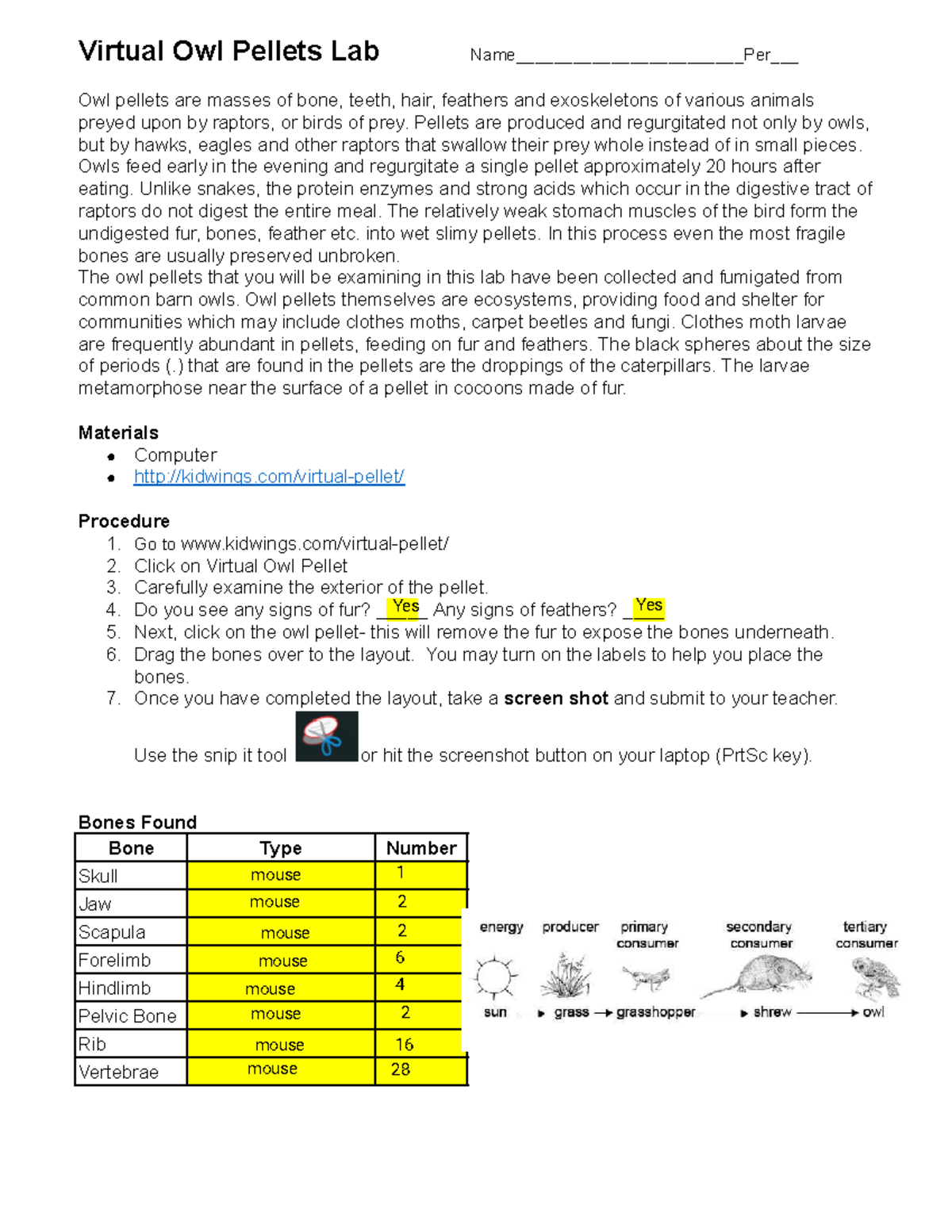 Kami Export - Owl Pellets Virtual Lab Guide (Bio 101) - Studocu