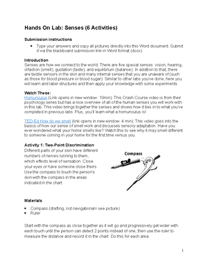 Lab5 App Skel N - labels the skeleton - Hands On Lab 5: Appendicular ...
