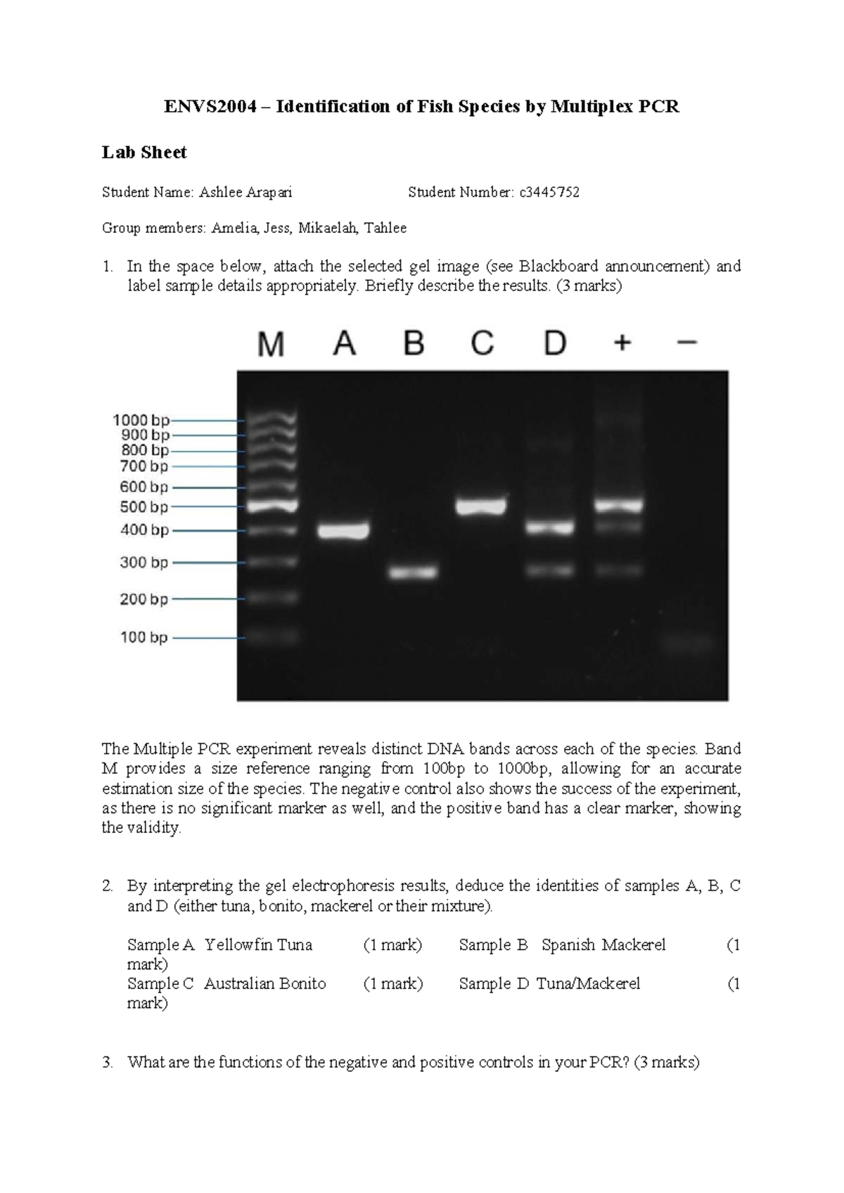 ENVS2004 Multiplex PCR Lab Report: Fish Species Identification - Studocu