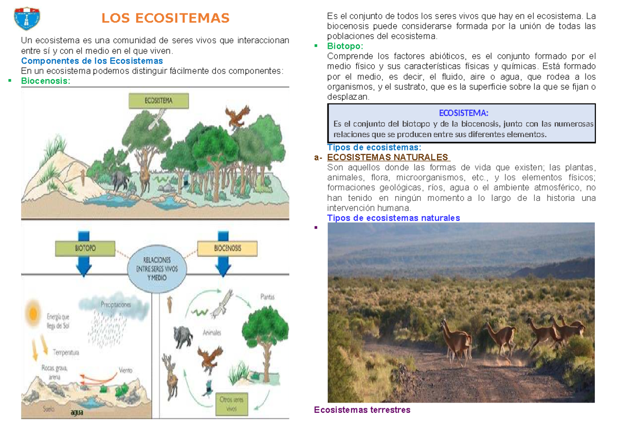 09. LOS ECOSISTEMAS: Componentes y Tipos de Ecosistemas - Studocu