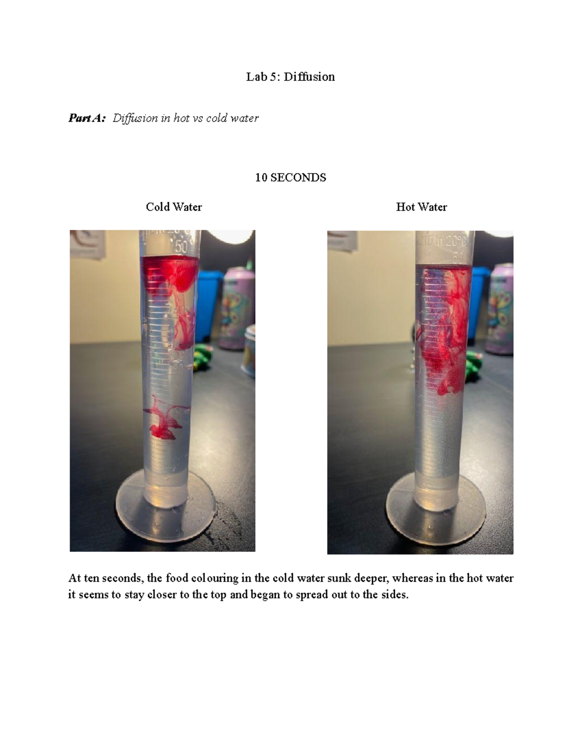Lab 5: Observations on Diffusion in Hot & Cold Water - Studocu