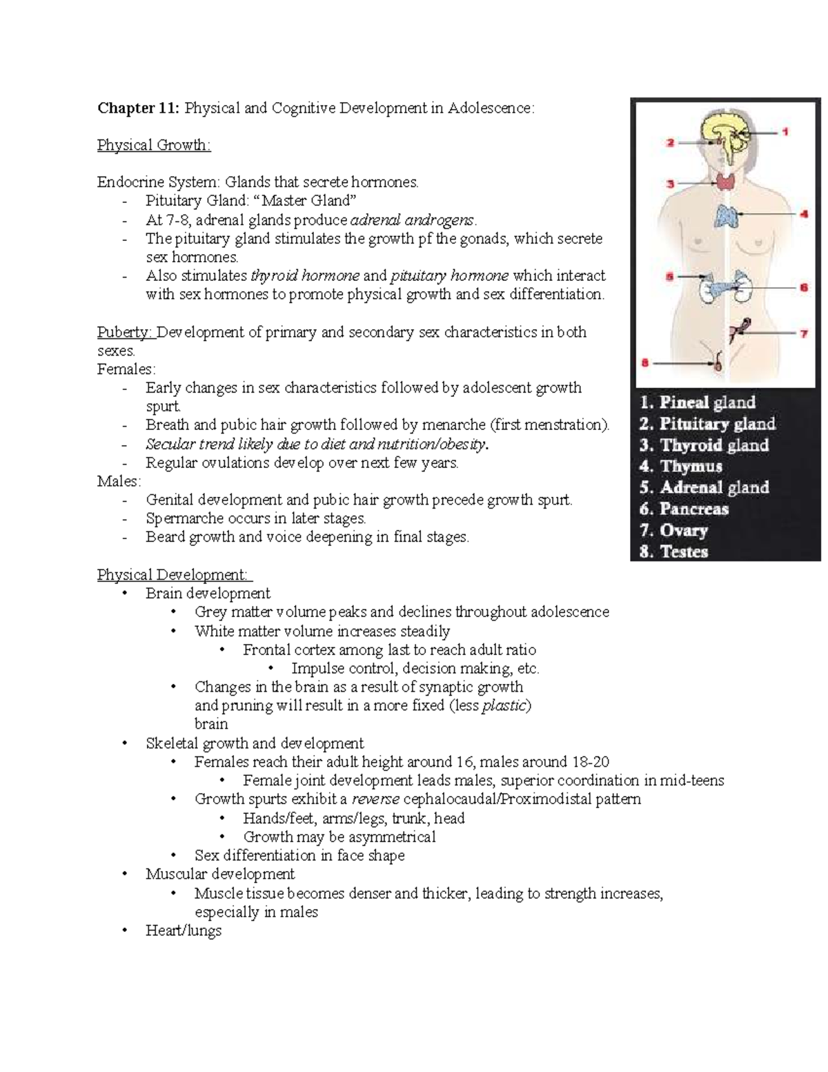 Chapter 11: Physical and Cognitive Development in Adolescence (Dev ...