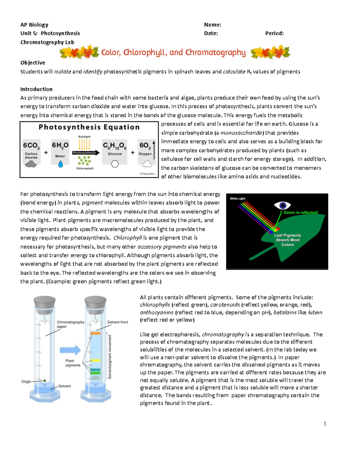 AP Biology Unit 5: Chromatography Lab on Plant Pigments - Studocu