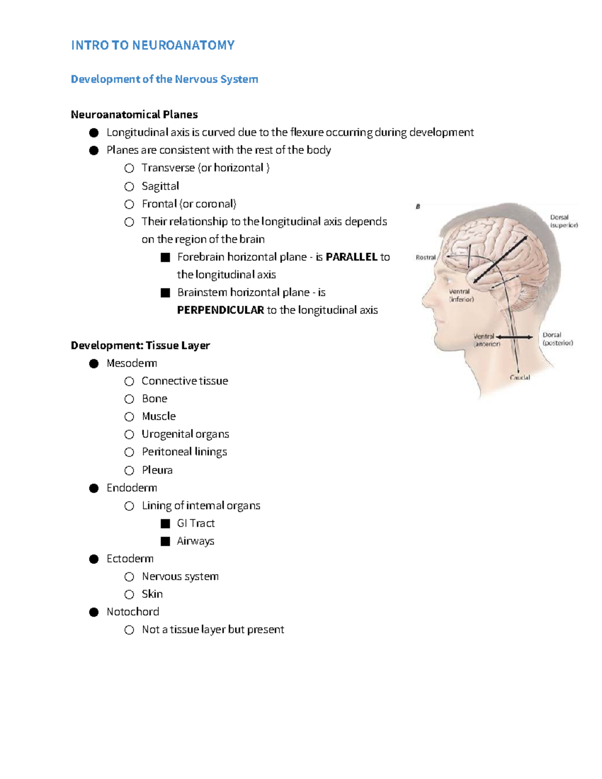 Introduction to Neuroanatomy: Development & Structure of the Nervous ...