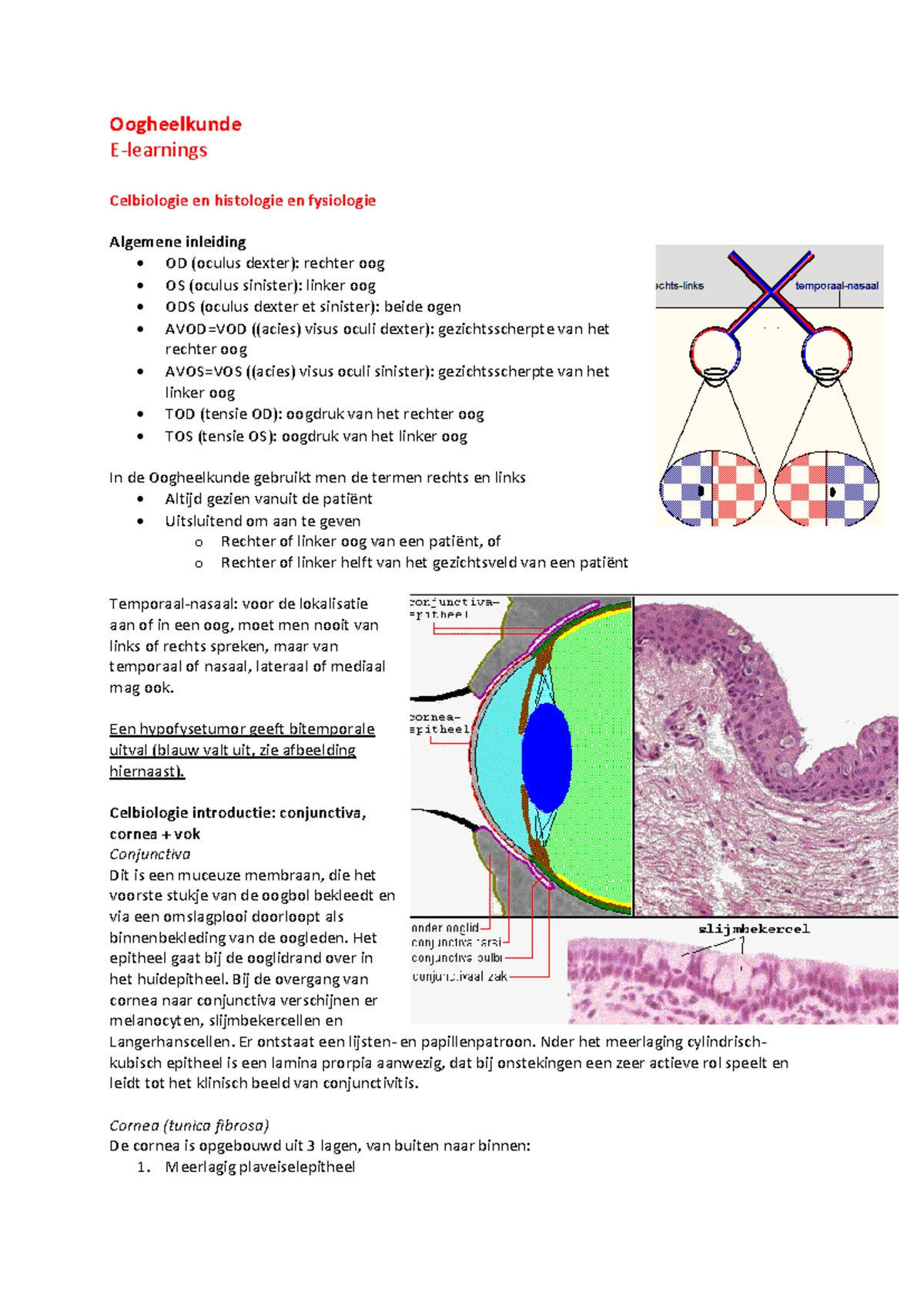 Medische termen ( kort) - Medische terminologie Inleiding medische ...