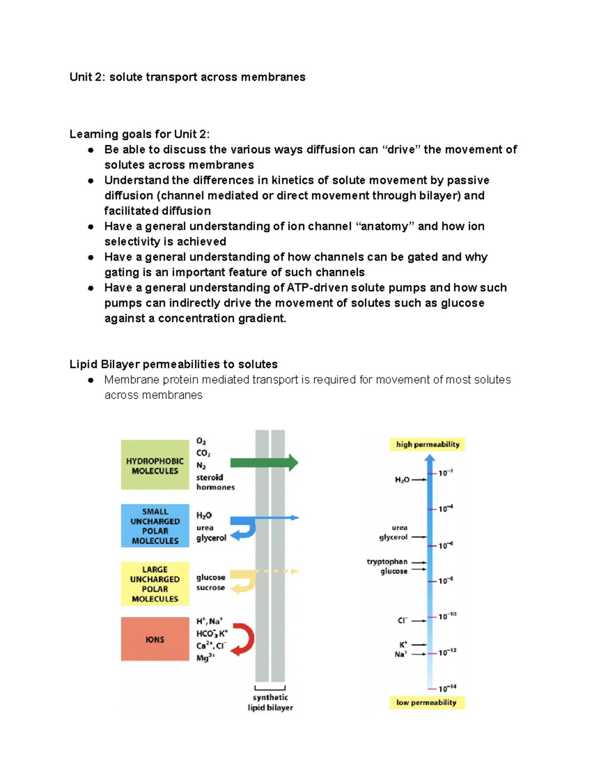 Unit 2 Solute Transport Across Membrane - Unit 2: solute transport ...