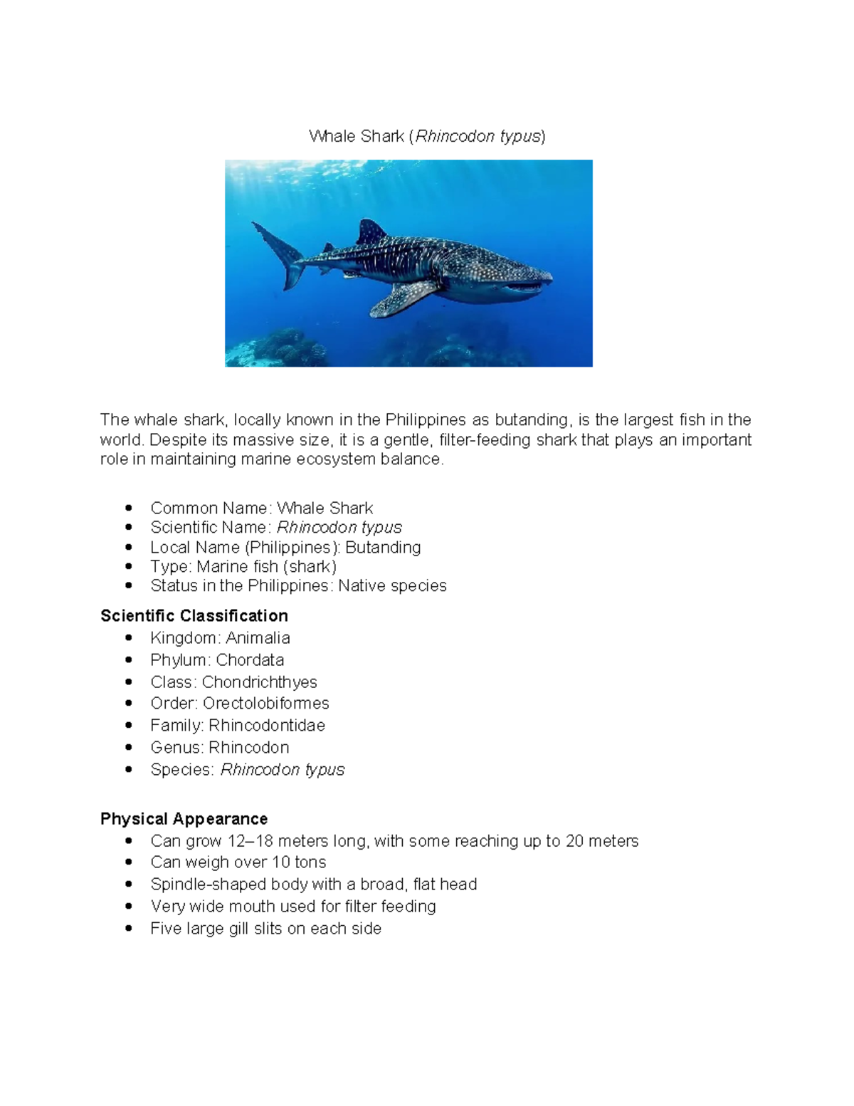 PEE 101: Whale Shark (Rhincodon typus) - Marine Ecosystem Role and ...