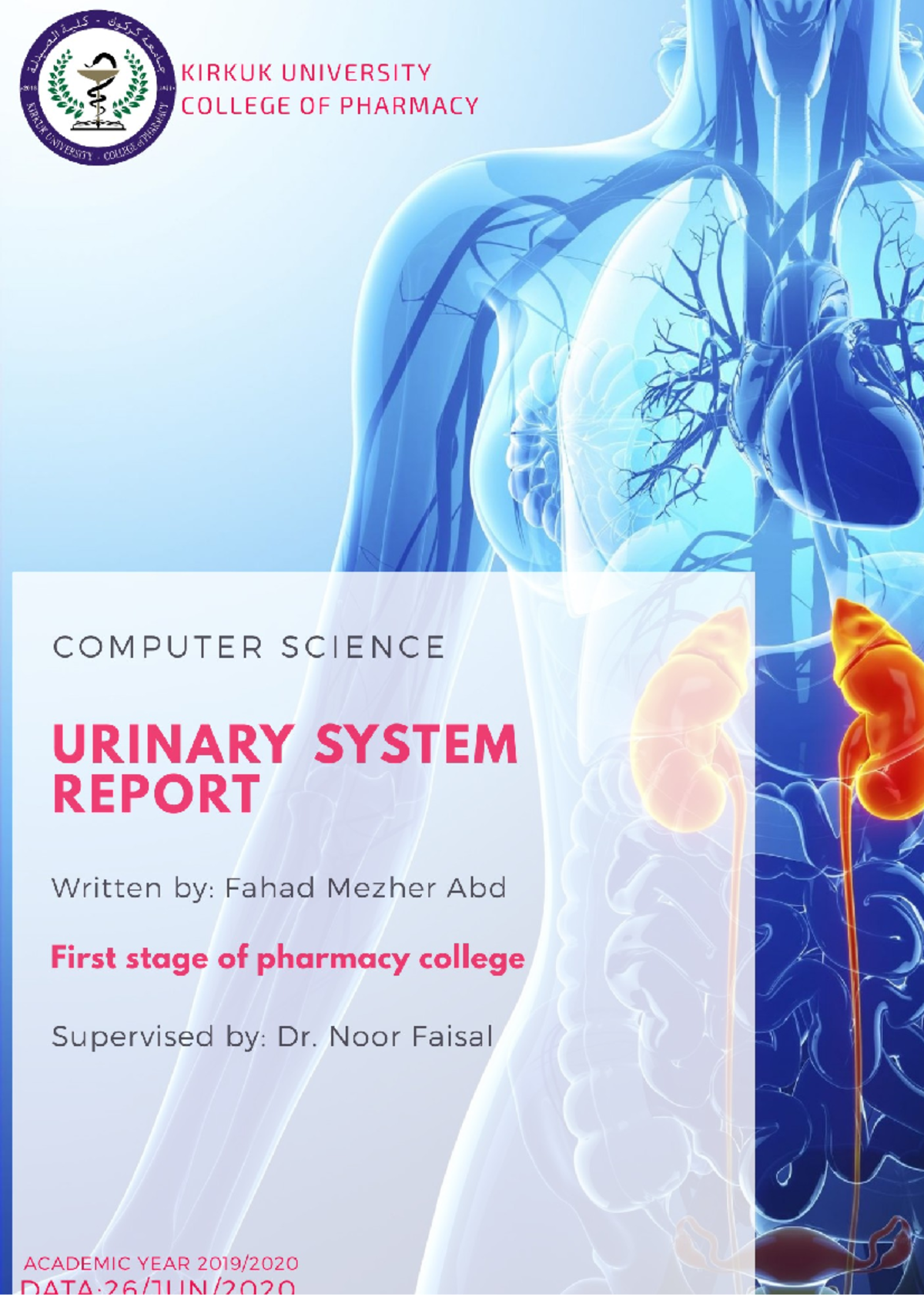 CS Report - Urinary System Anatomy and Functions Summary - Studocu