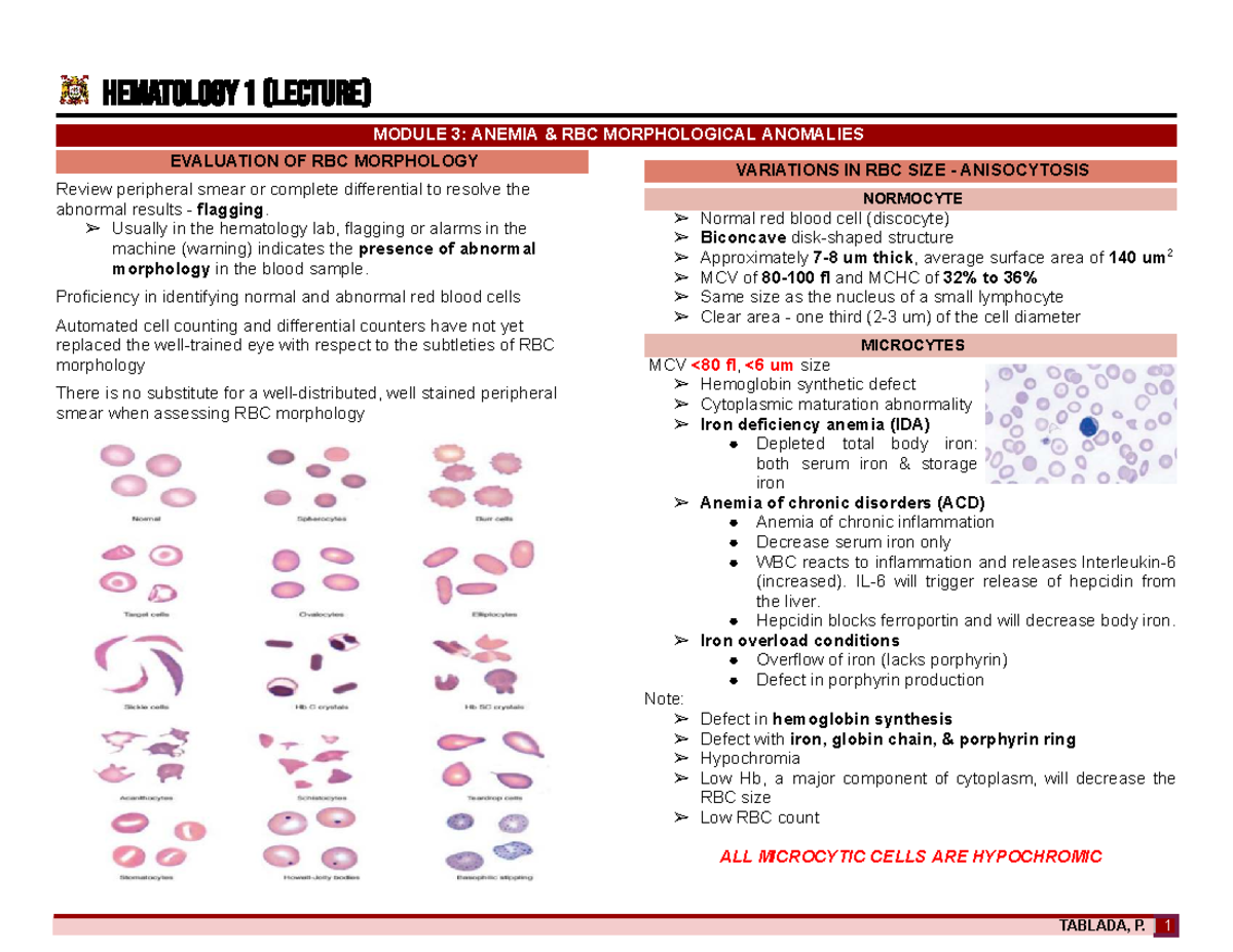 HEMA LEC (MIDTERMS) - ANEMIA & RBC MORPHOLOGY EVALUATION NOTES - Studocu