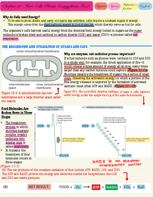 Week 10 Gene Expression Worksheet - How is gene expression controlled ...