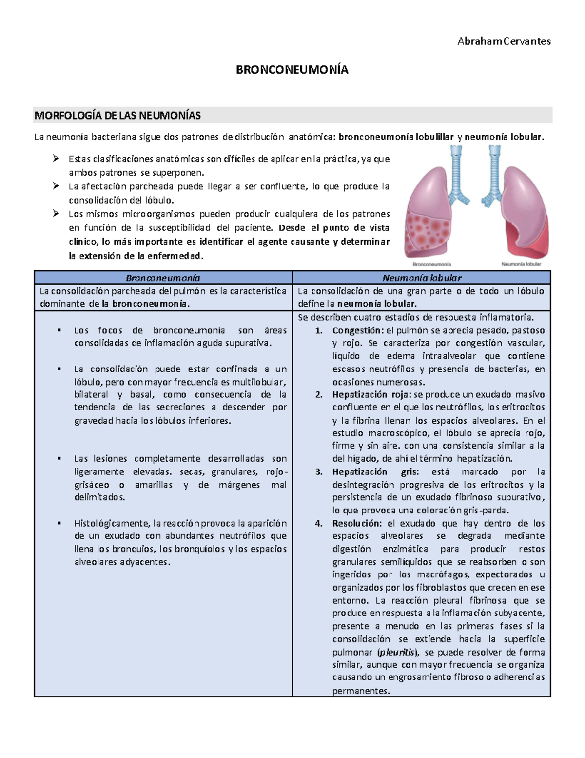 BRONCONEUMONÍA: MORFOLOGÍA Y HALLAZGOS RADIOLÓGICOS - Studocu