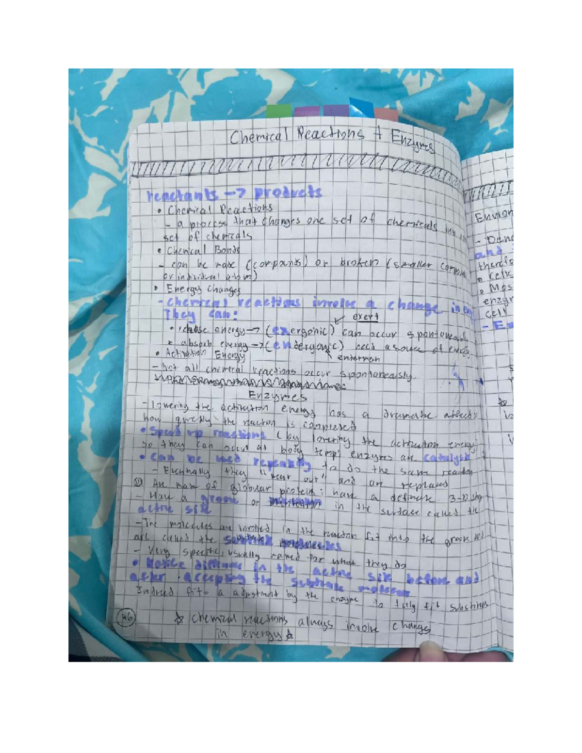 "Comprehensive Study Guide for Course XYZ - Final Exam Prep" - Studocu