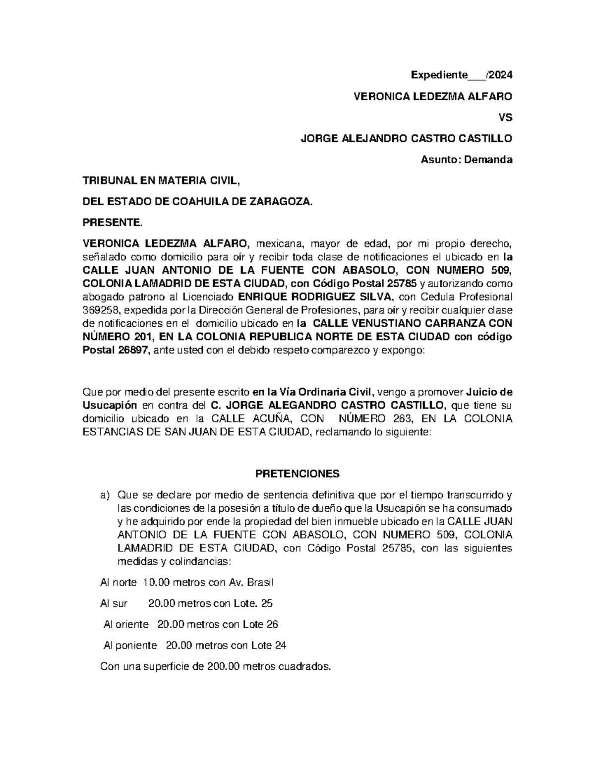 Demanda y pruebas civil usucapion - Expediente___/ VERONICA LEDEZMA ...