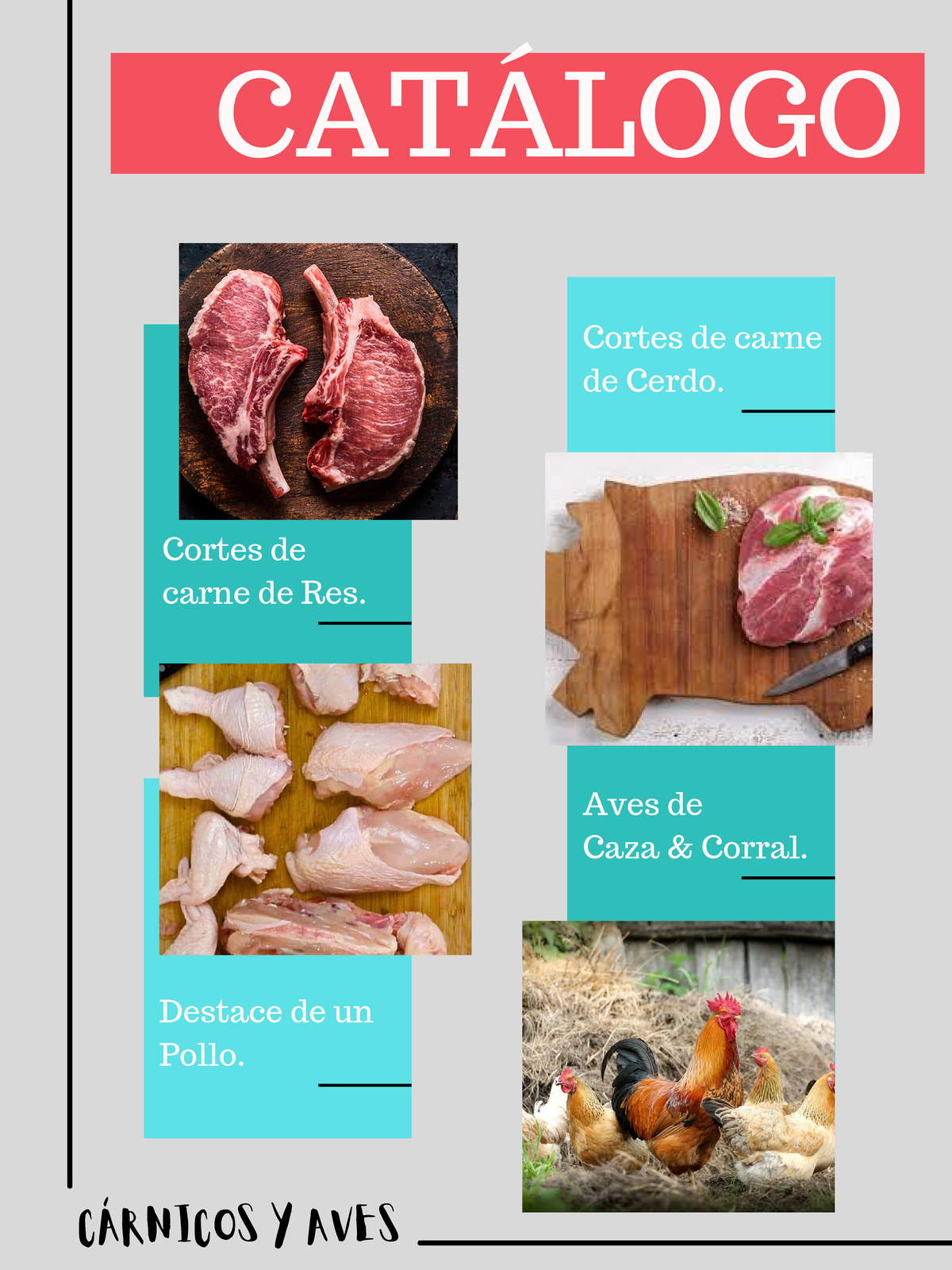 Catálogo de Cortes de Carne y Aves: Res, Cerdo y Pollo - Studocu