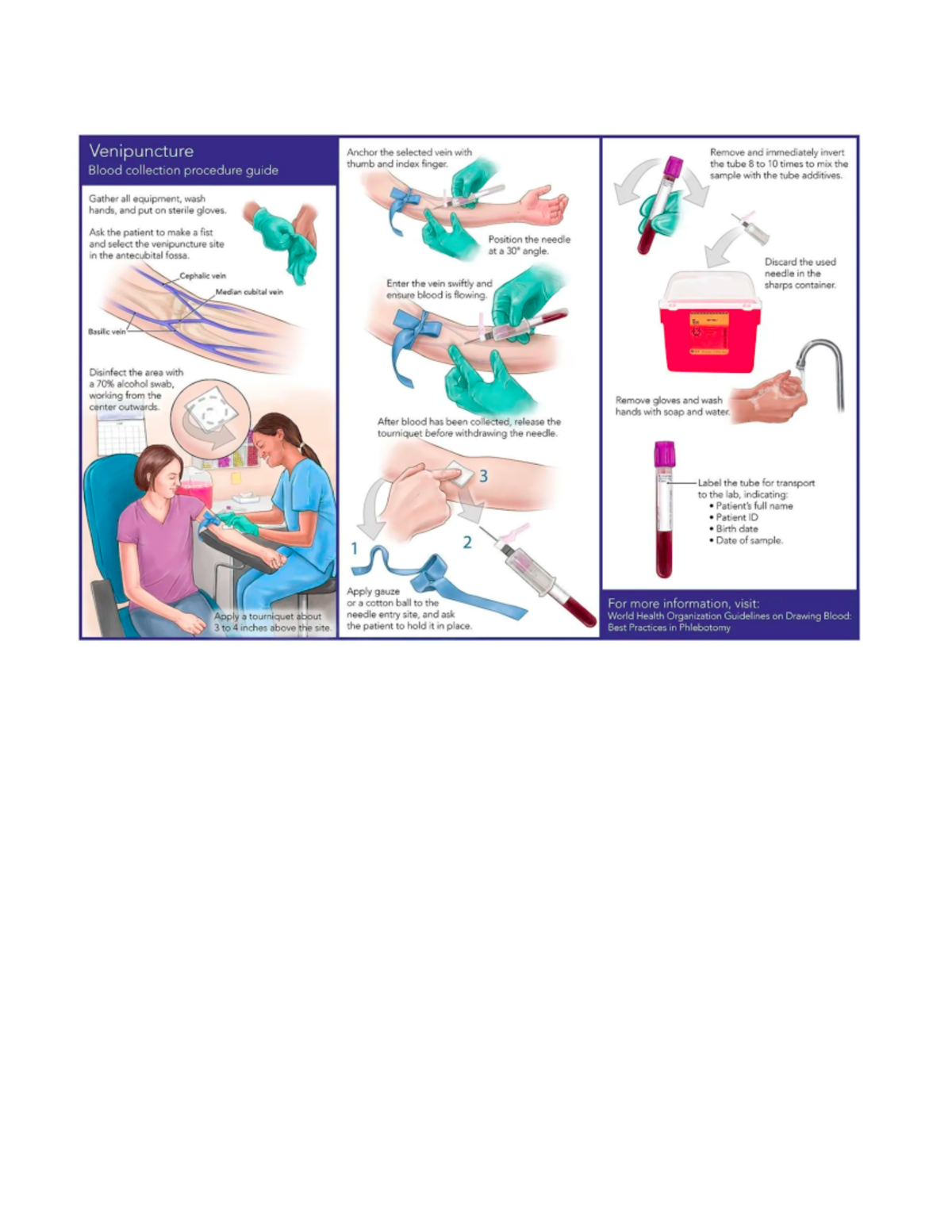 ETS - ETS - Venipuncture Anchor the selected vein with Remove and ...