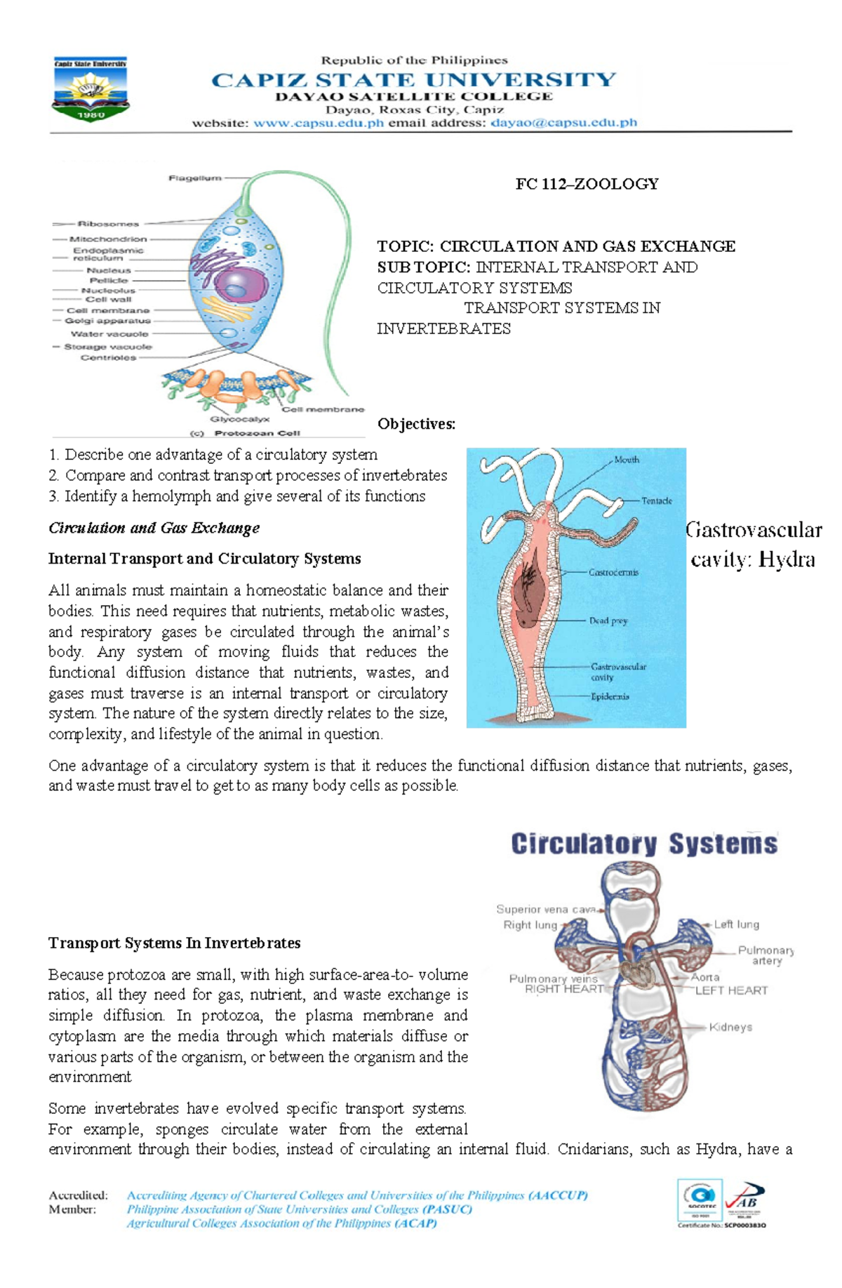 FC: Circulation & Gas Exchange in Invertebrates - Transport Systems ...
