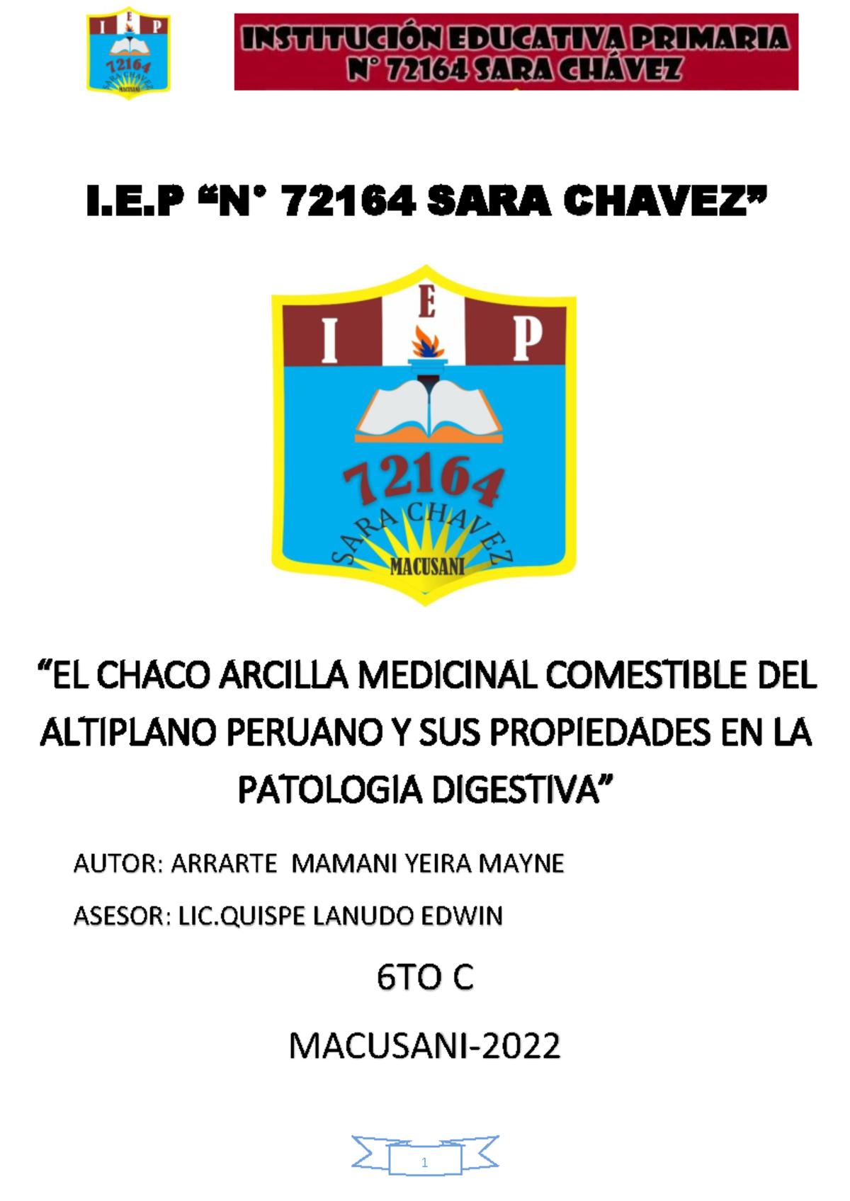 Propiedades Medicinales de la Arcilla Chaco en Patología Digestiva ...