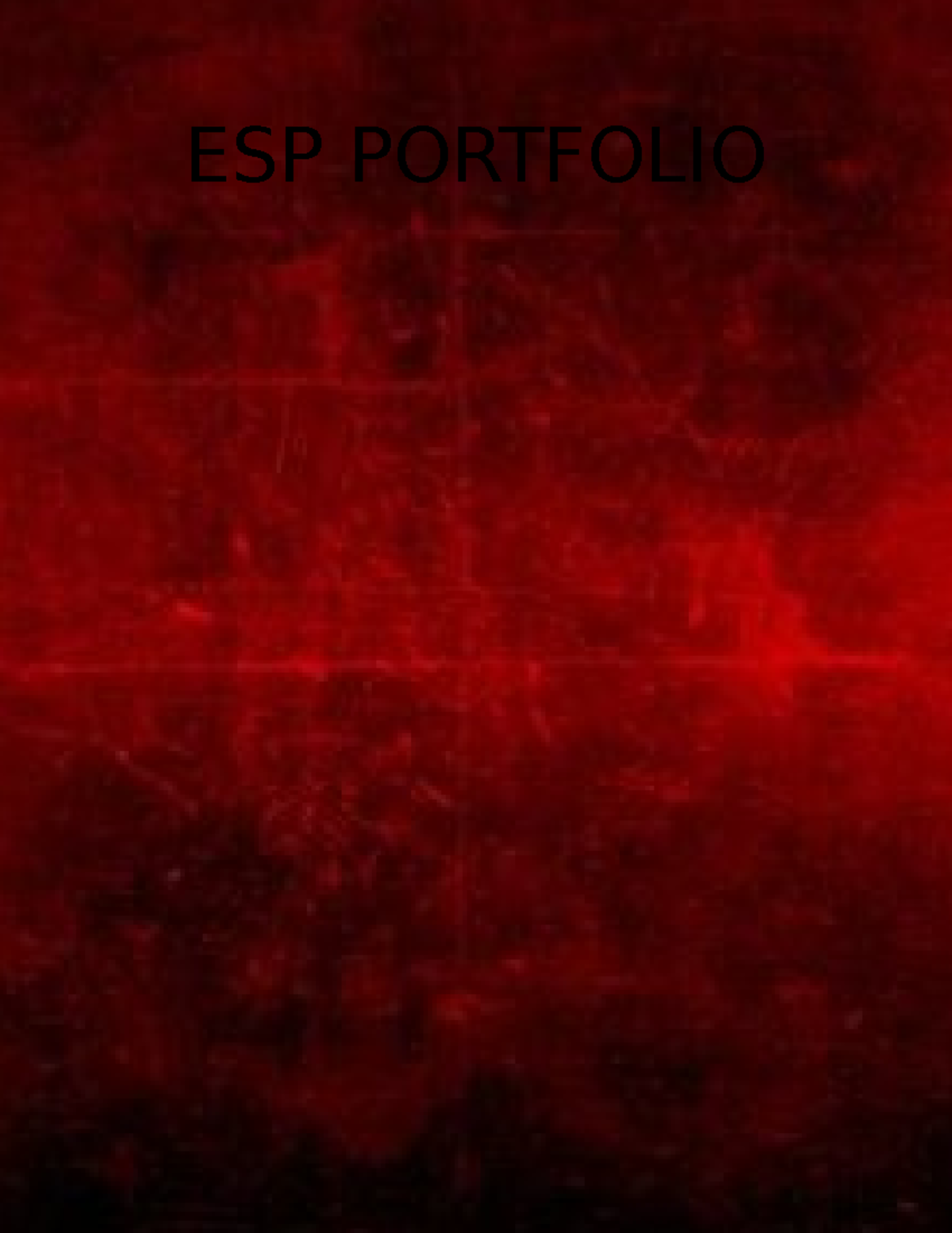 ESP Portfolio - Special program for foreign language - ESP PORTFOLIO ...