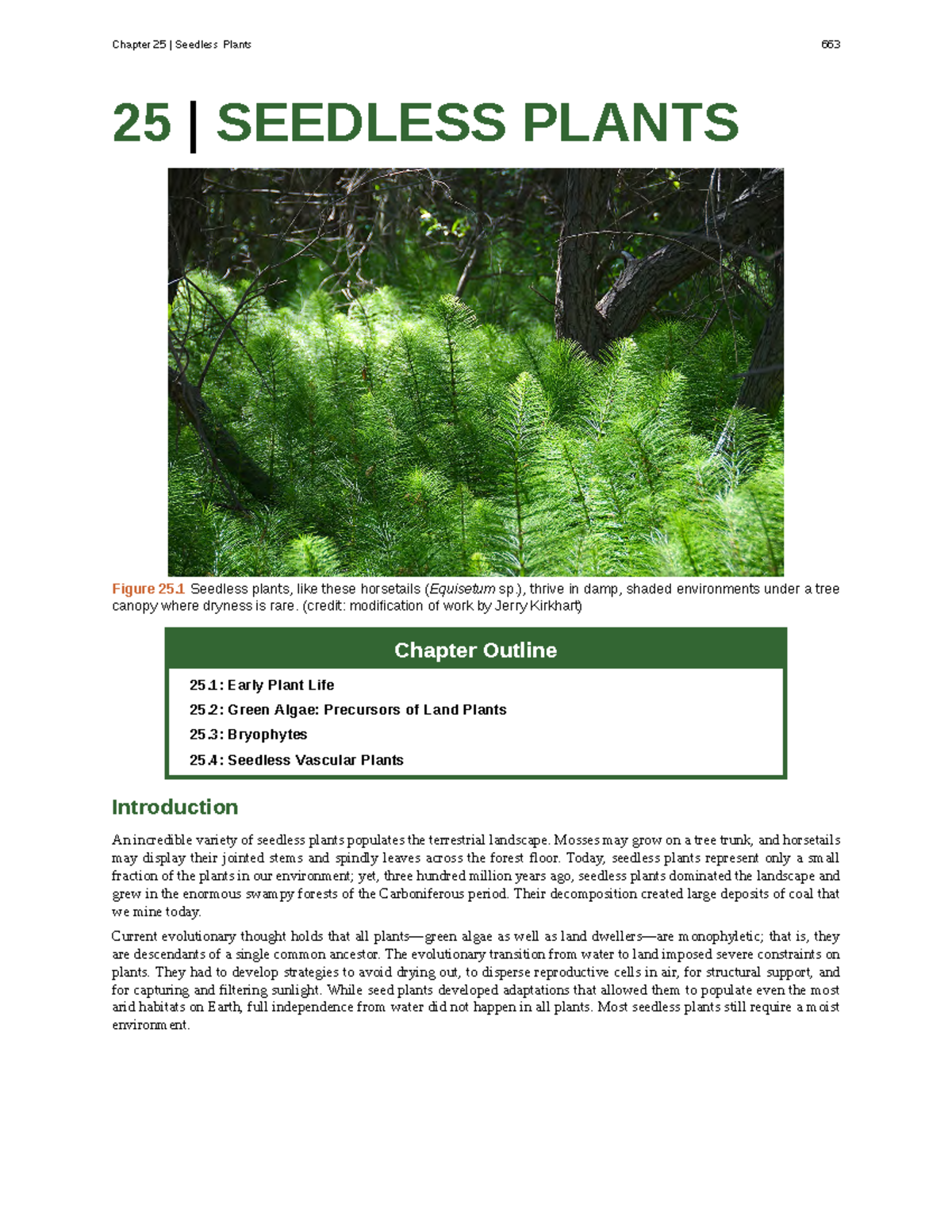 Chapter 25: Seedless Plants Overview and Key Concepts - 25 | SEEDLESS ...