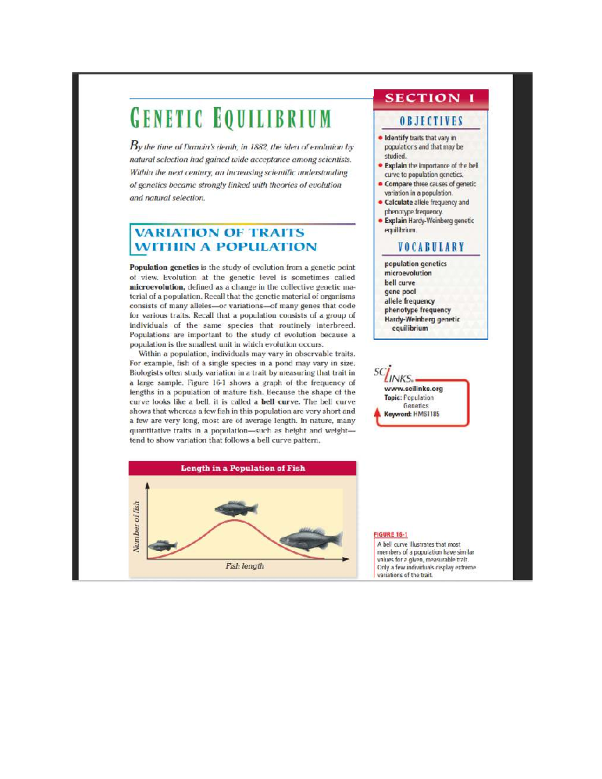 Population Genetics: Understanding Genetic Equilibrium and Variation ...