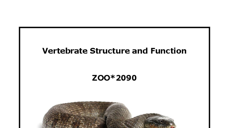 ZOO2090 F25 Vertebrate Structure & Function Lab Manual - Studocu