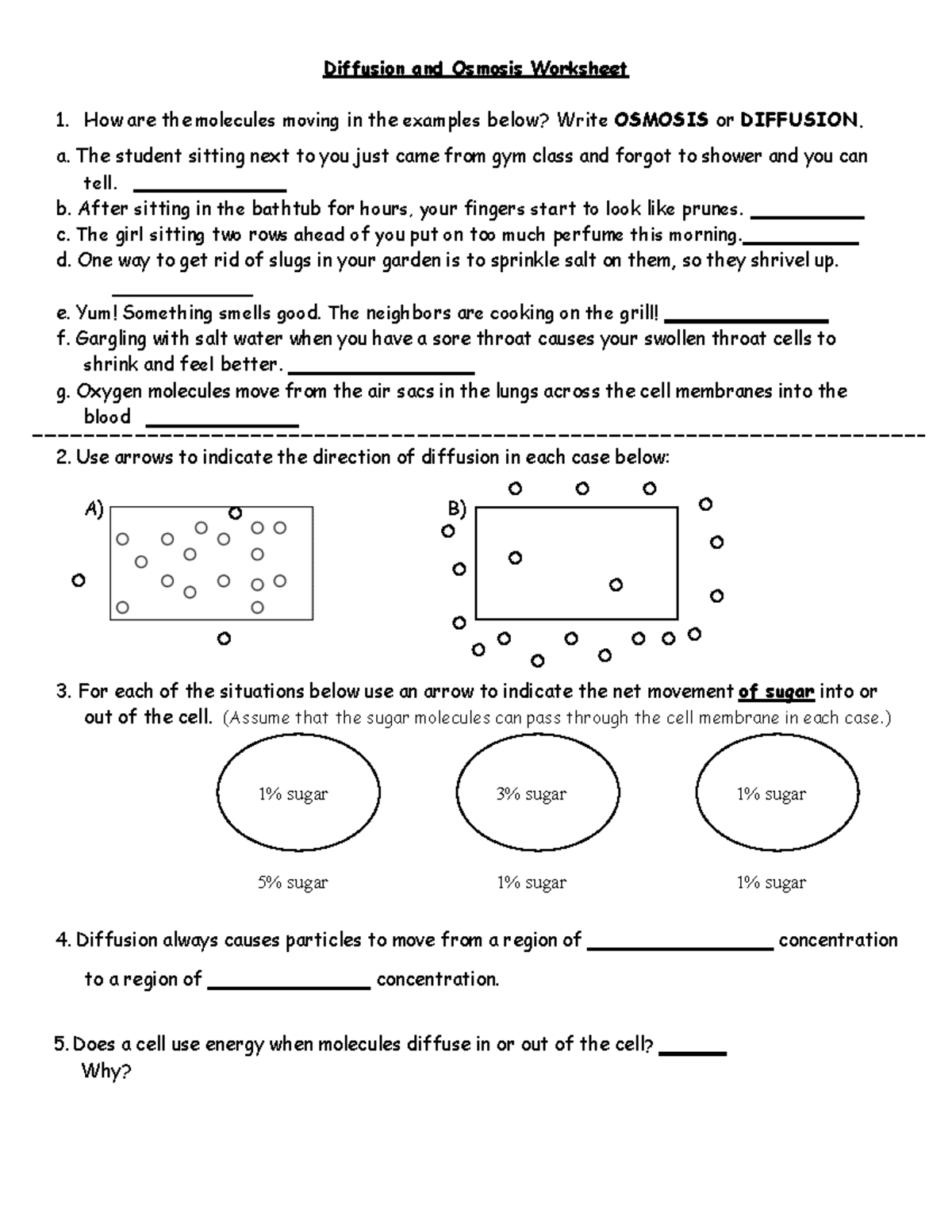 Diffusion and Osmosis Worksheet: Understanding Molecular Movement - Studocu
