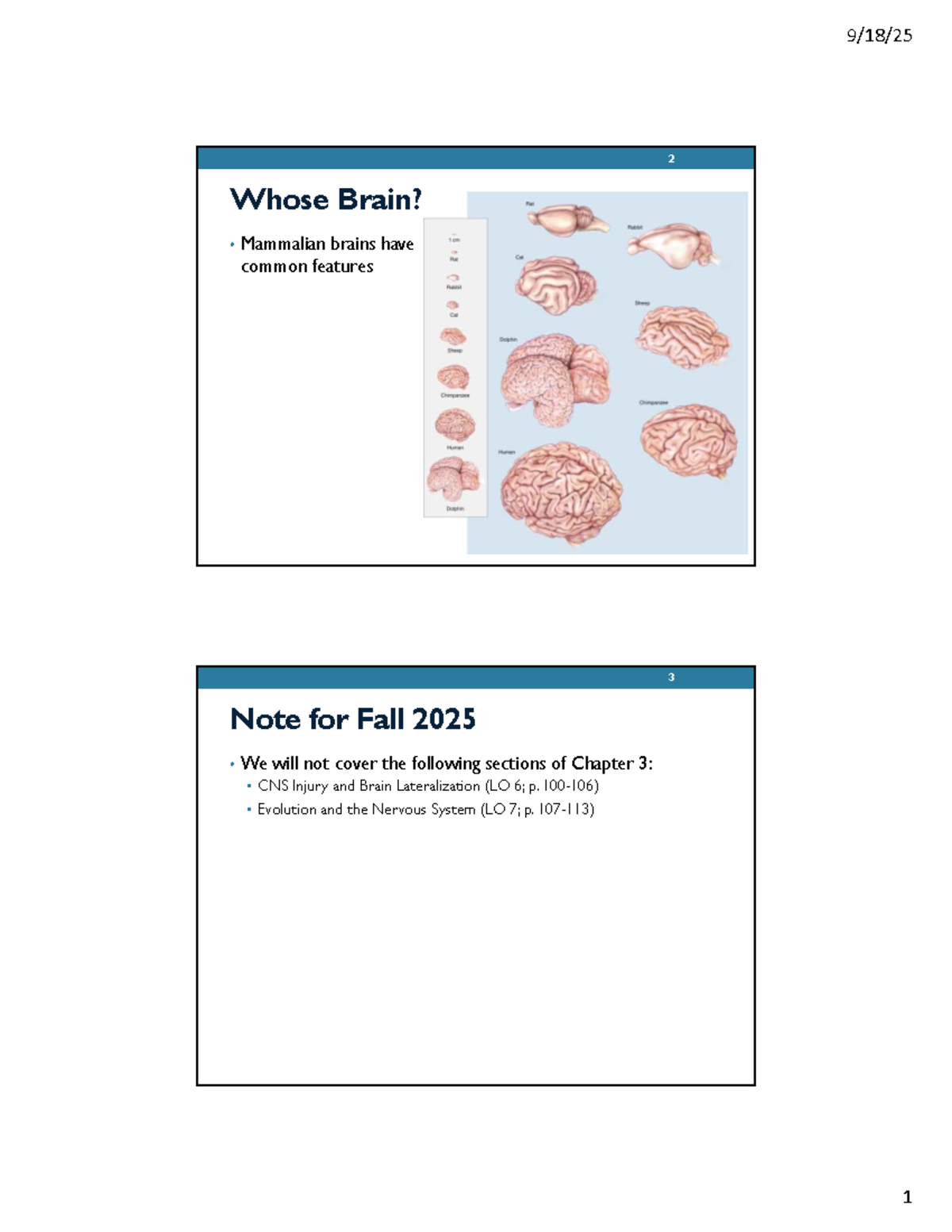 Neuroscience 101: Overview of the Nervous System - Fall 2025 - Studocu