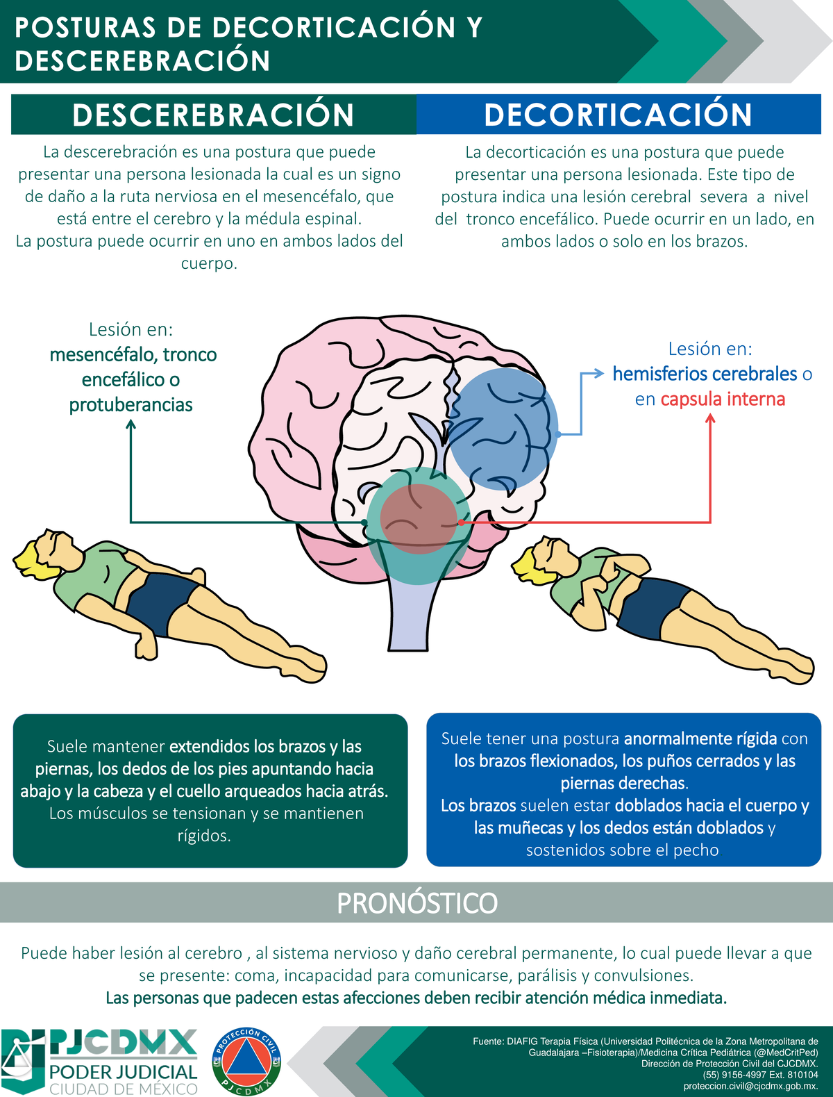 7 Posturas DE Decorticacion Y Descerebracion - DECORTICACIÓN POSTURAS ...