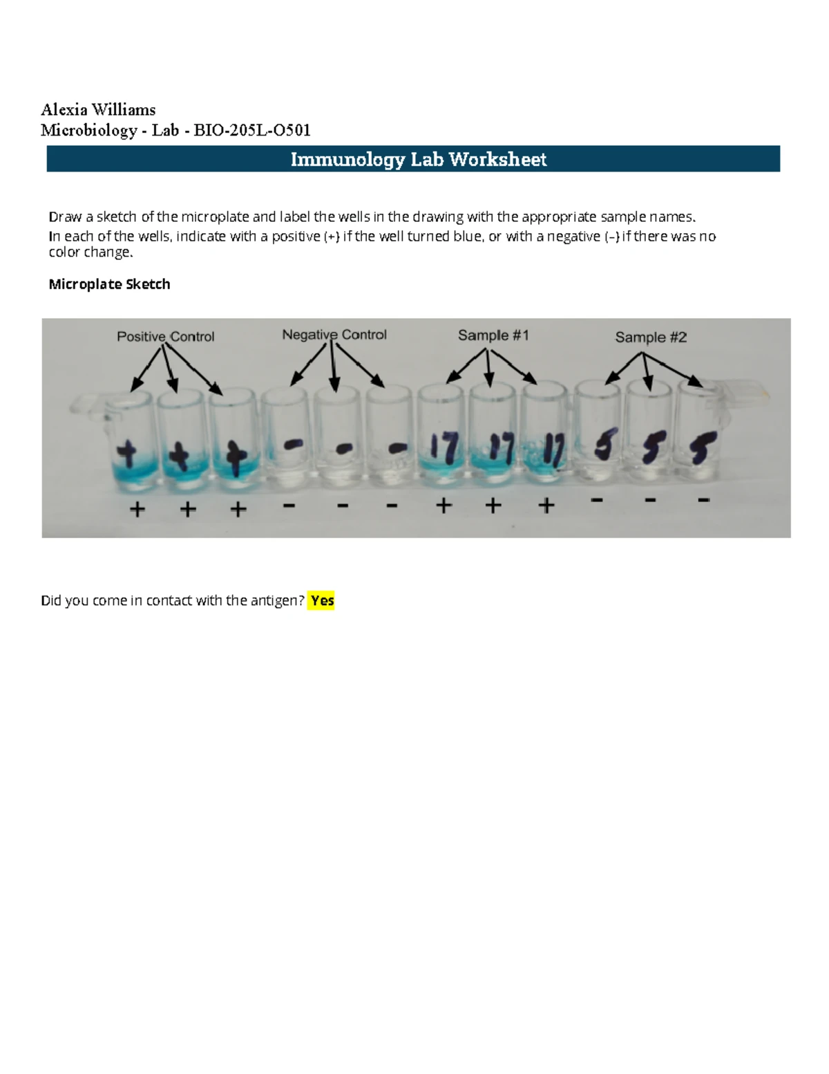 Lab report 3 - lab - Identification of Unknown Bacteria Stephanie ...