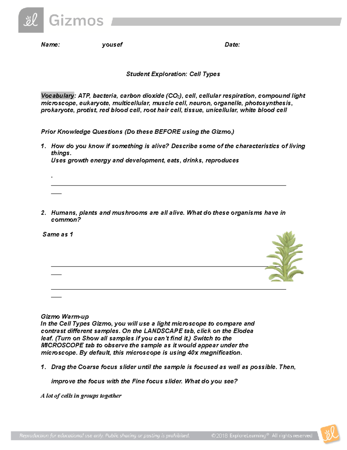 Cell Types Exploration Lab Sheet (Bio 101) - Studocu