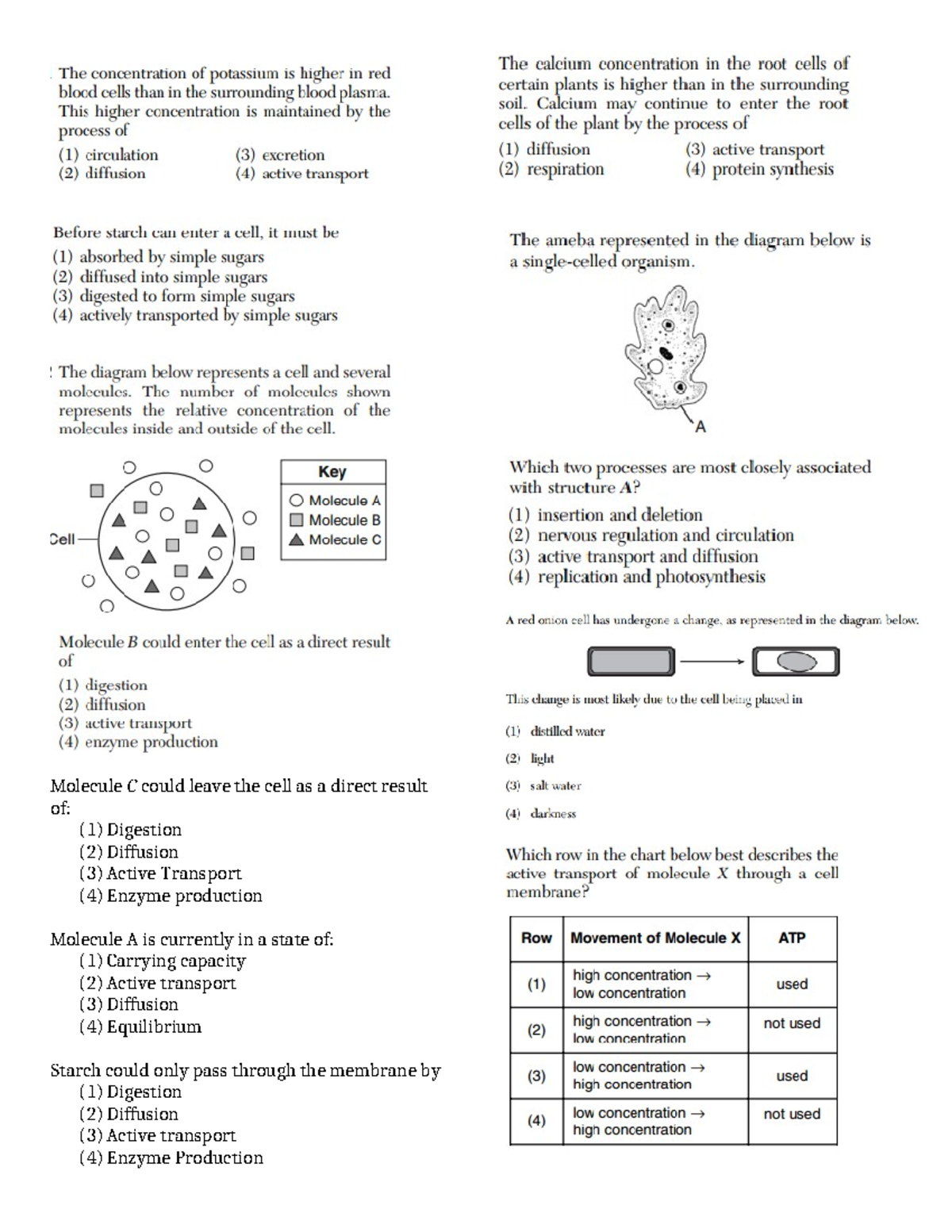 Regents Practice Questions on Cell Transport (Diffusion & Osmosis ...