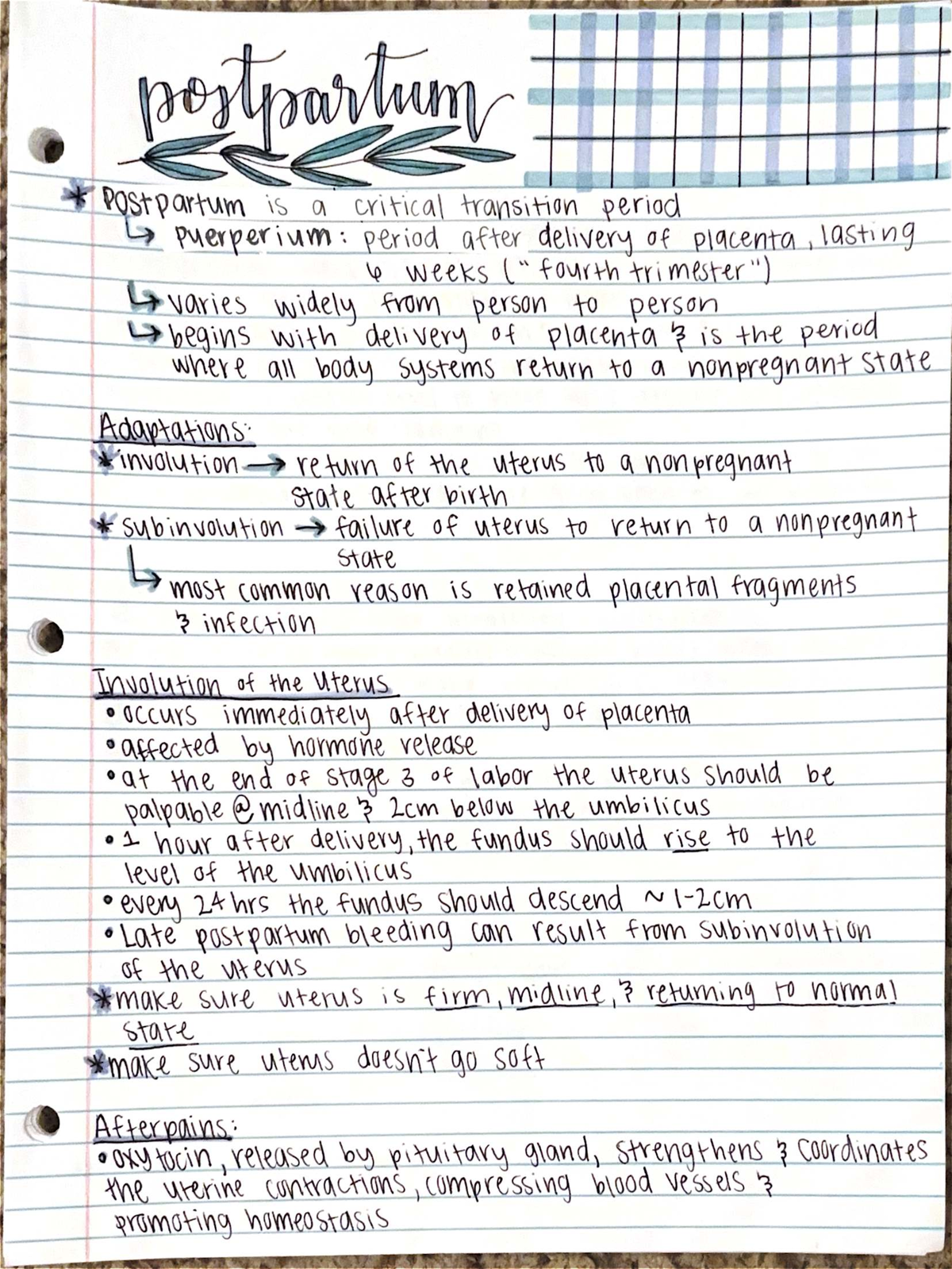ARTPAWNM 217 Postpartum Notes: Understanding the Post-Delivery Period ...