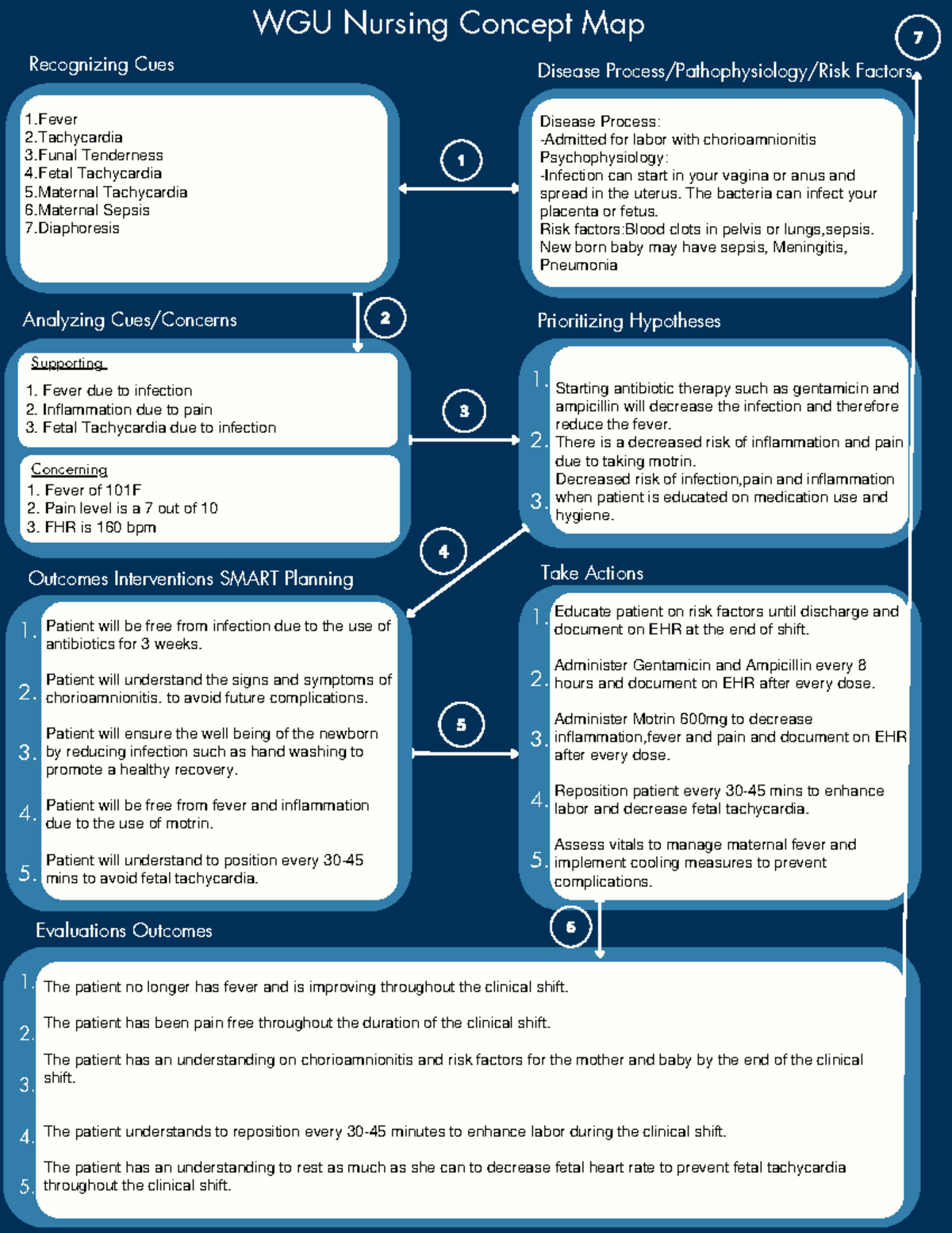 OB Concept Map Example: Women's & Children's Health - WGU Nursing - Studocu