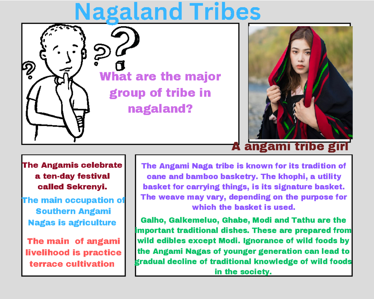 Class 8 Project on Angami Tribe and Nagaland History - Studocu