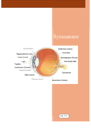 Ytre Krefter: Forvitring, Erosjon og Avsetning Forklart - Studocu