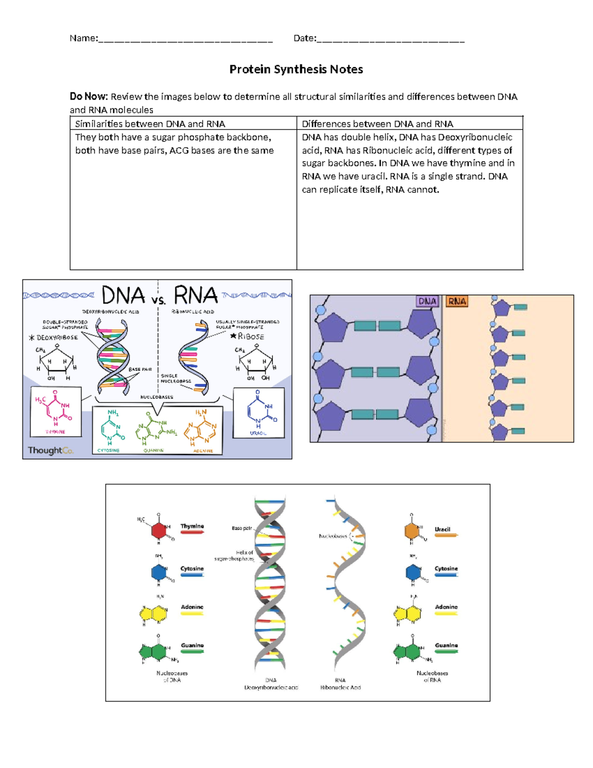 Protein Synthesis Notes: Understanding DNA and RNA Differences - Studocu