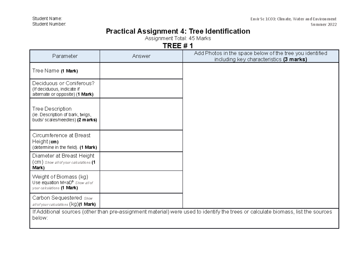 Practical Assignment 4: Neighbourhood Tree ID - Envir Sc 1C03, Summer ...