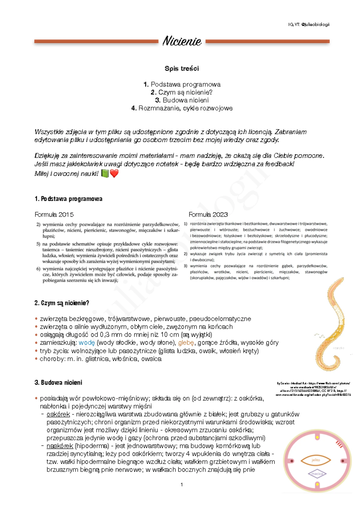 Płazińce: Budowa, Podział i Cykl Rozwoju - Biologia 101 - Studocu