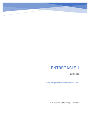Las variaciones en la estructura organizacional - Introducción ...
